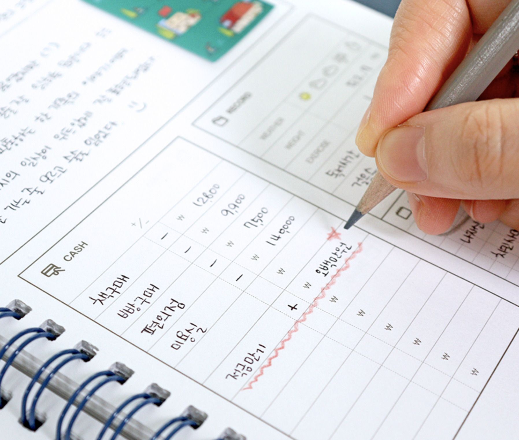 MochiThings: One Day Semi Year Diary & Cash Planner