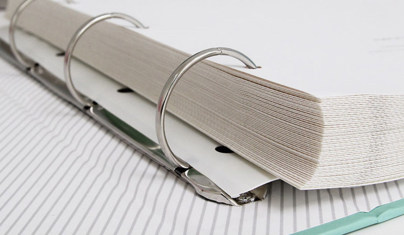 MochiThings: Giant Plain 4 Ring Binder Photo Album