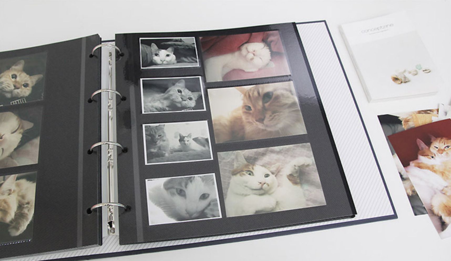 MochiThings: Giant Plain 4 Ring Binder Photo Album