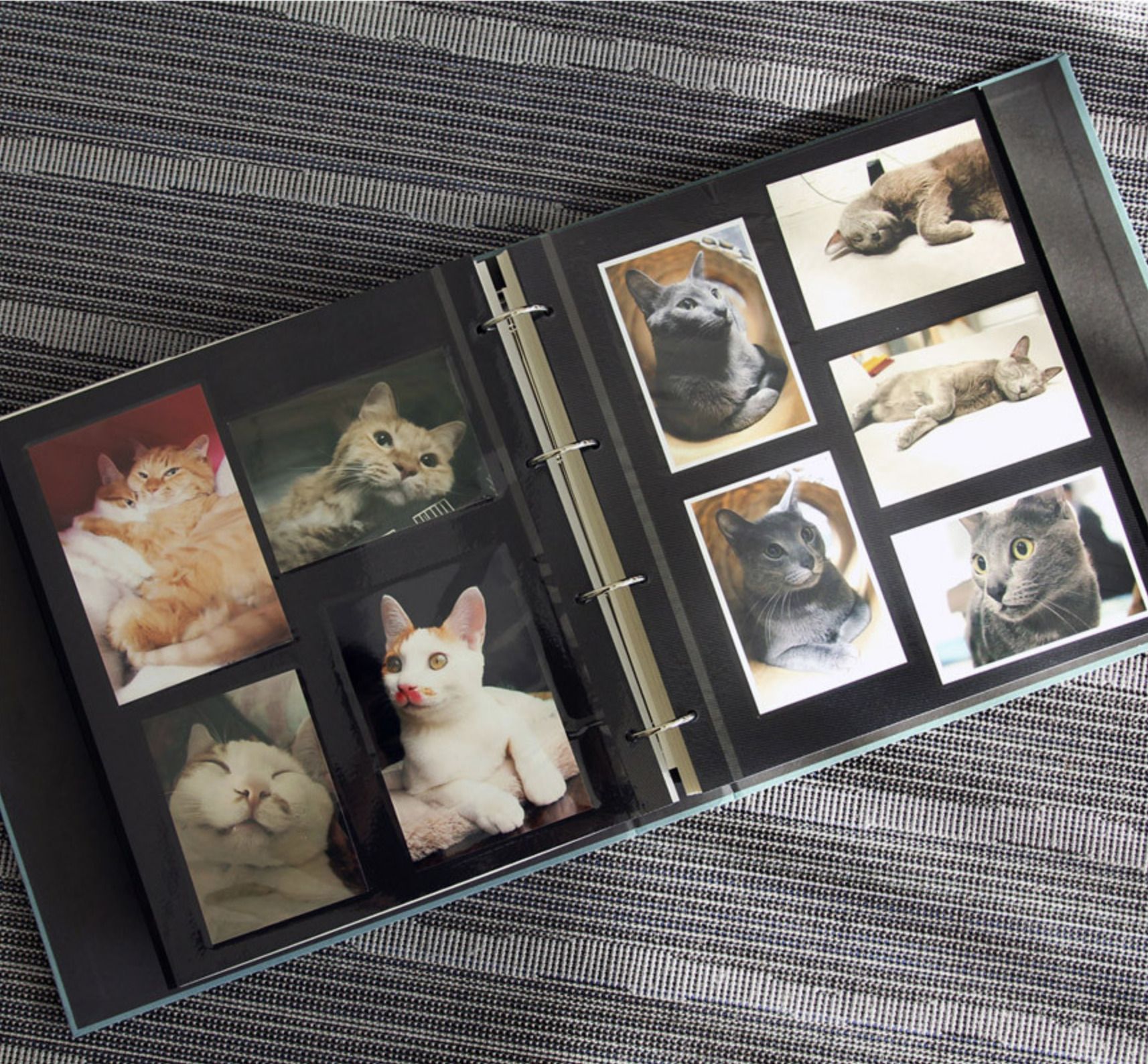 MochiThings: Giant Modern 4 Ring Binder Photo Album