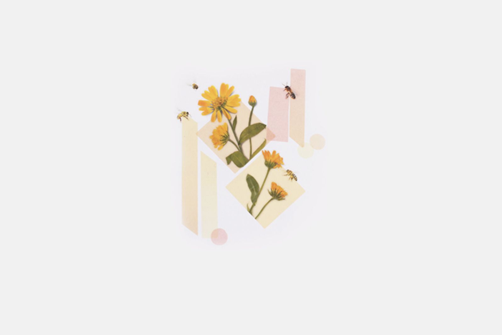 MochiThings: 10pcs Mood Gradient Sticker Book