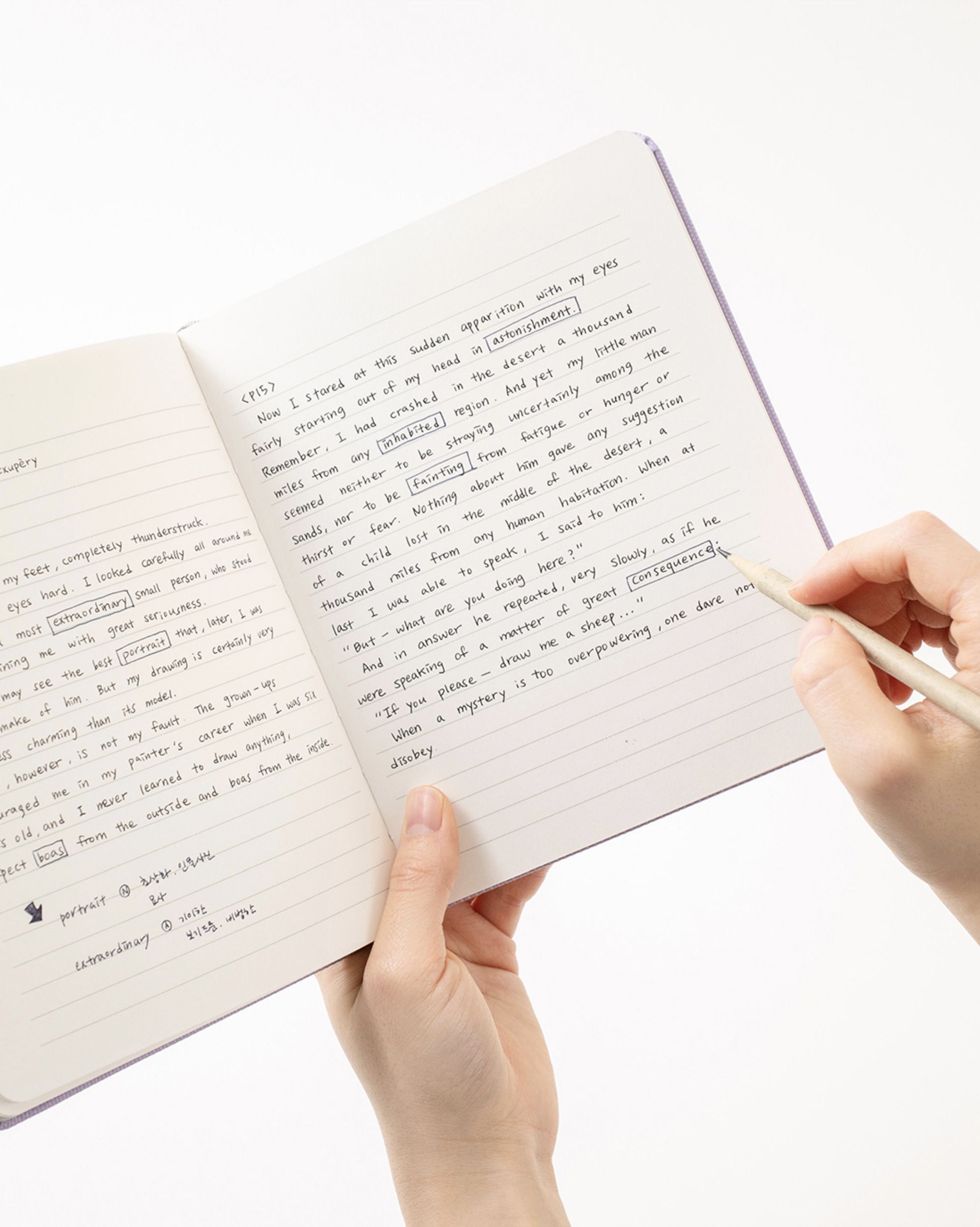 MochiThings: Wide Record Hardcover Lined Notebook v2