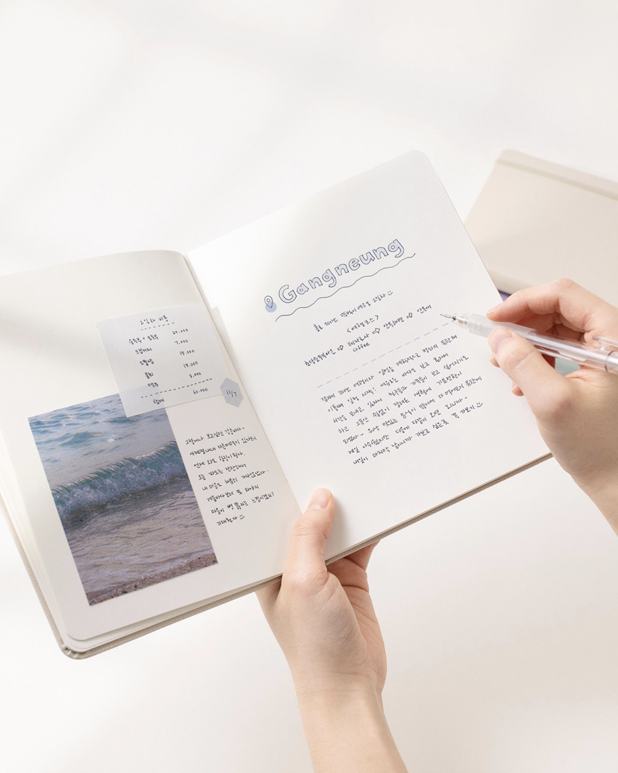 MochiThings: Wide Record Hardcover Plain Notebook v2