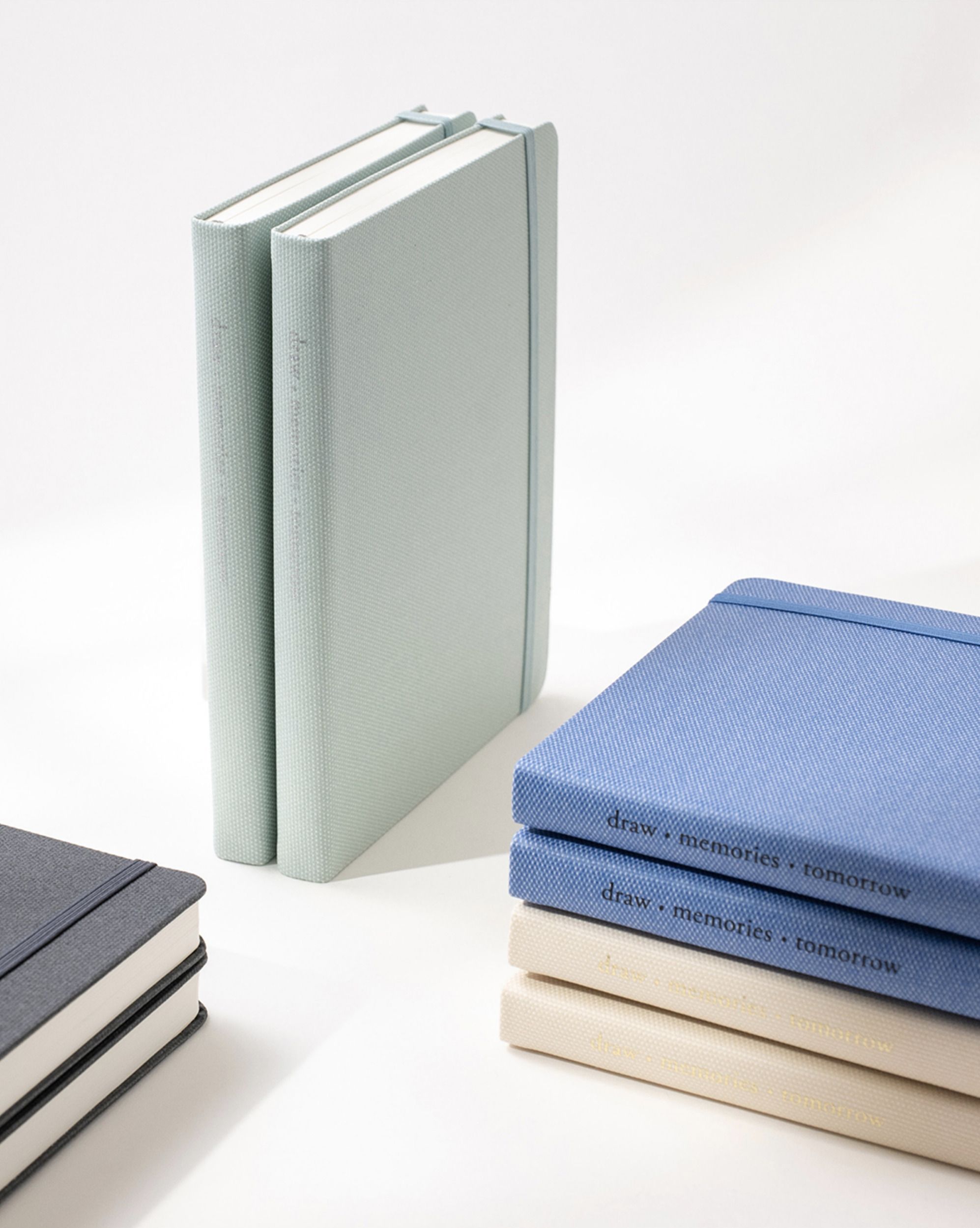 MochiThings: Wide Record Hardcover Plain Notebook v2