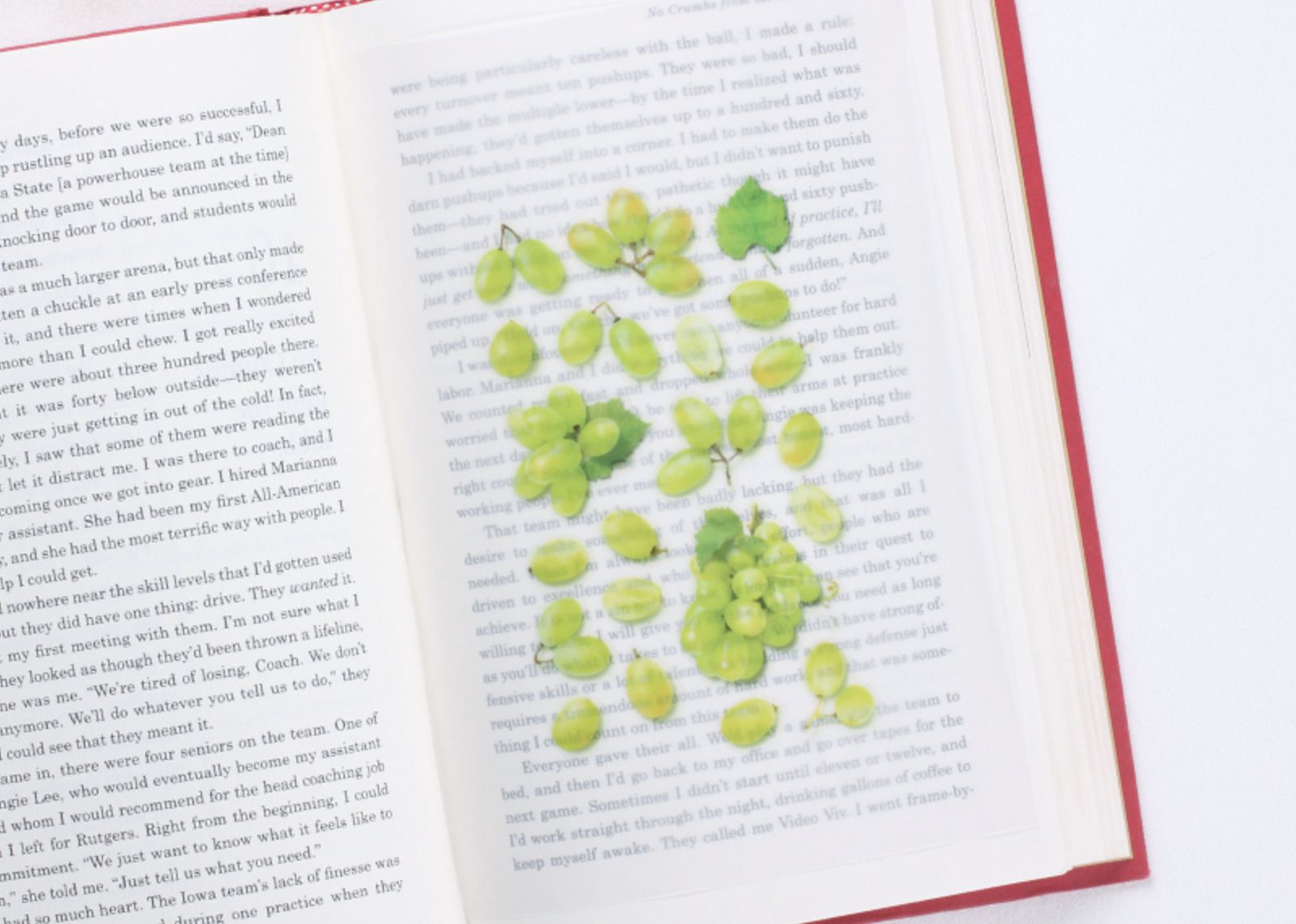 MochiThings: Green Grape Pressed Fruit Sticker