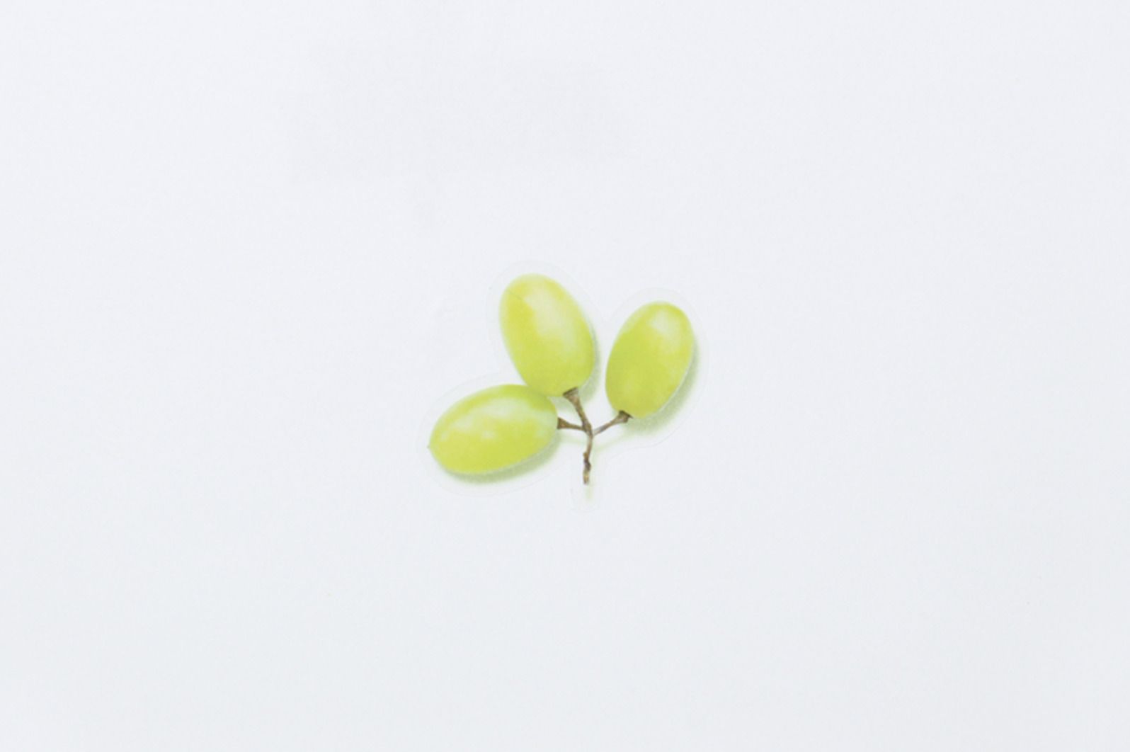 MochiThings: Green Grape Pressed Fruit Sticker