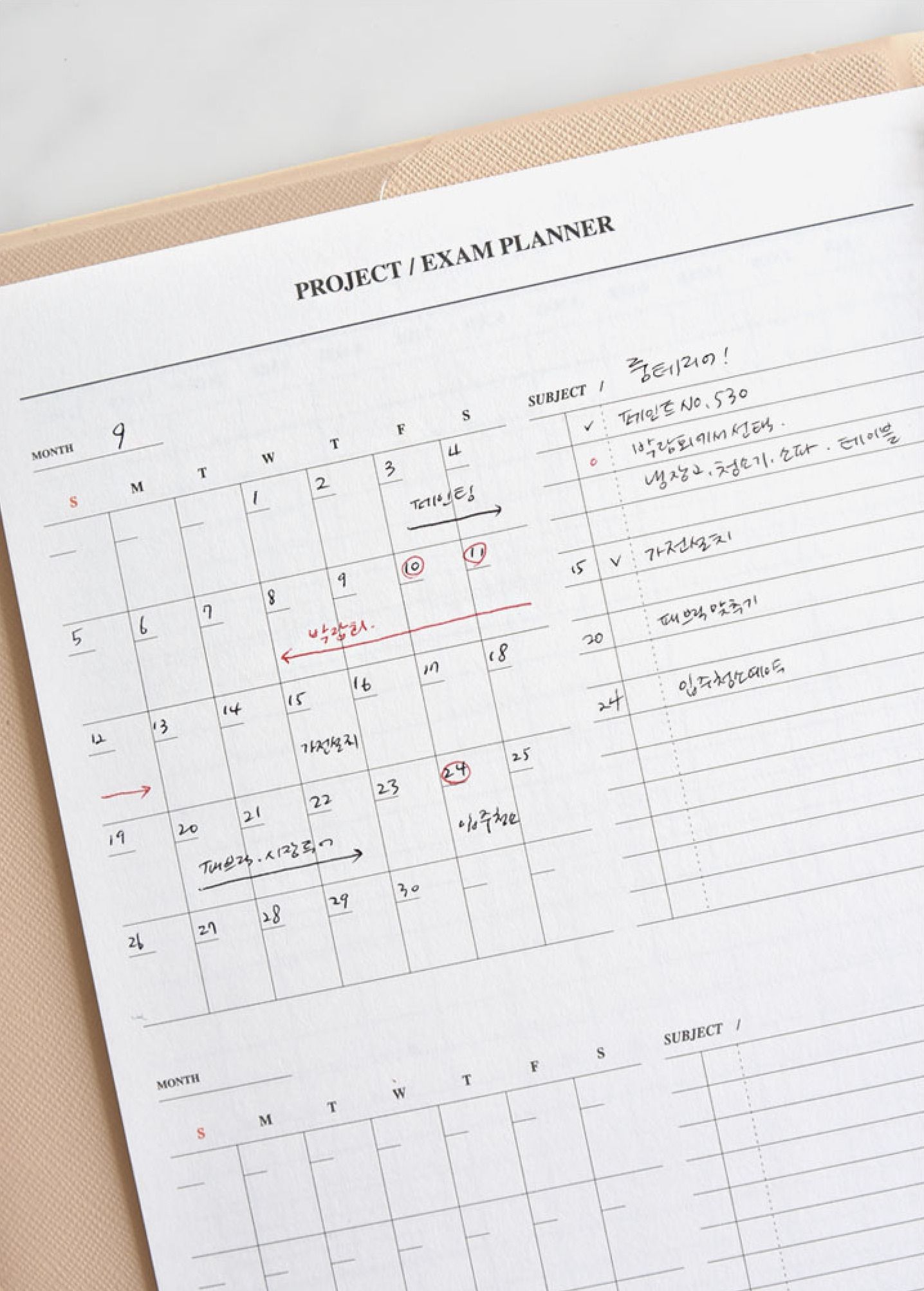MochiThings: Classy Standard Index Weekly Planner