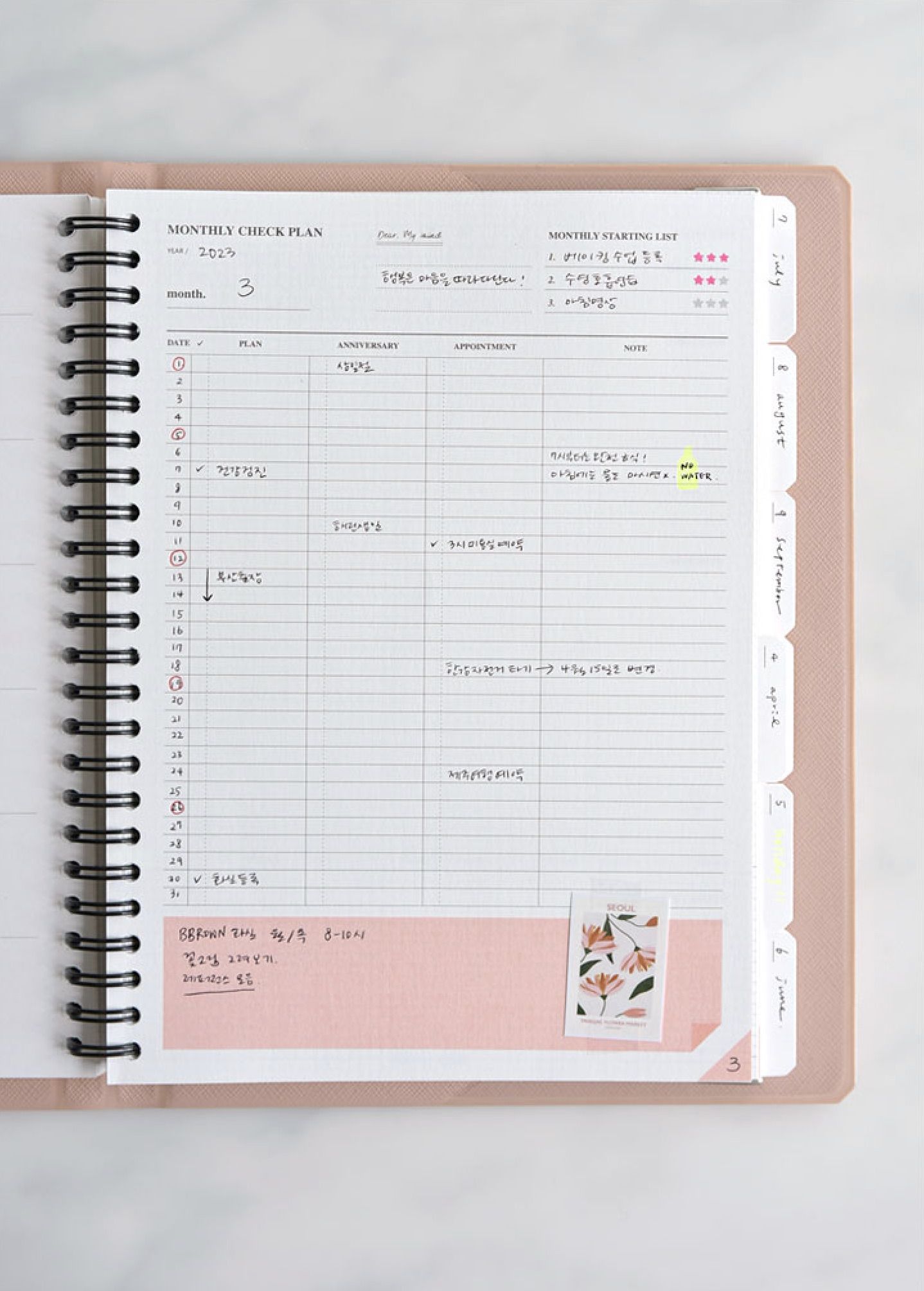 MochiThings: Classy Standard Index Weekly Planner