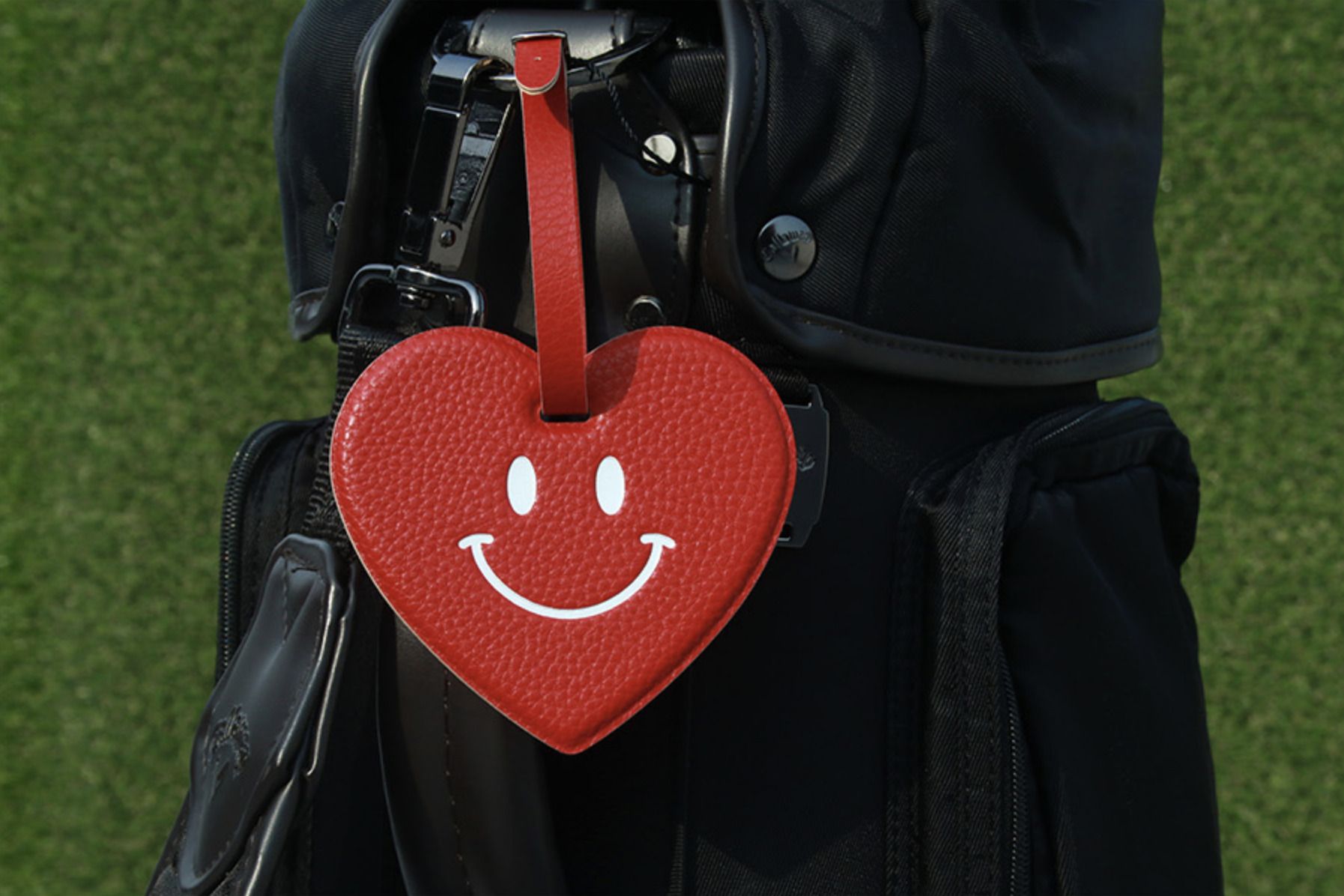 MochiThings: Smile Belted Luggage Tag