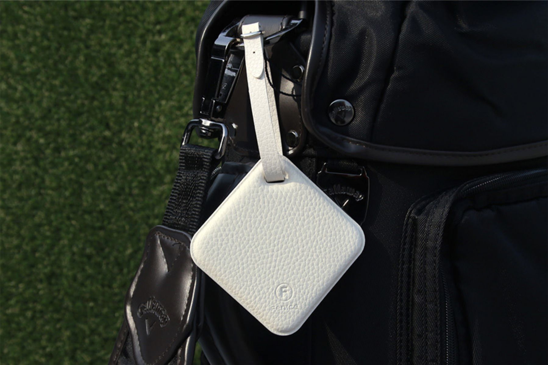 MochiThings: Classic Belted Luggage Tag