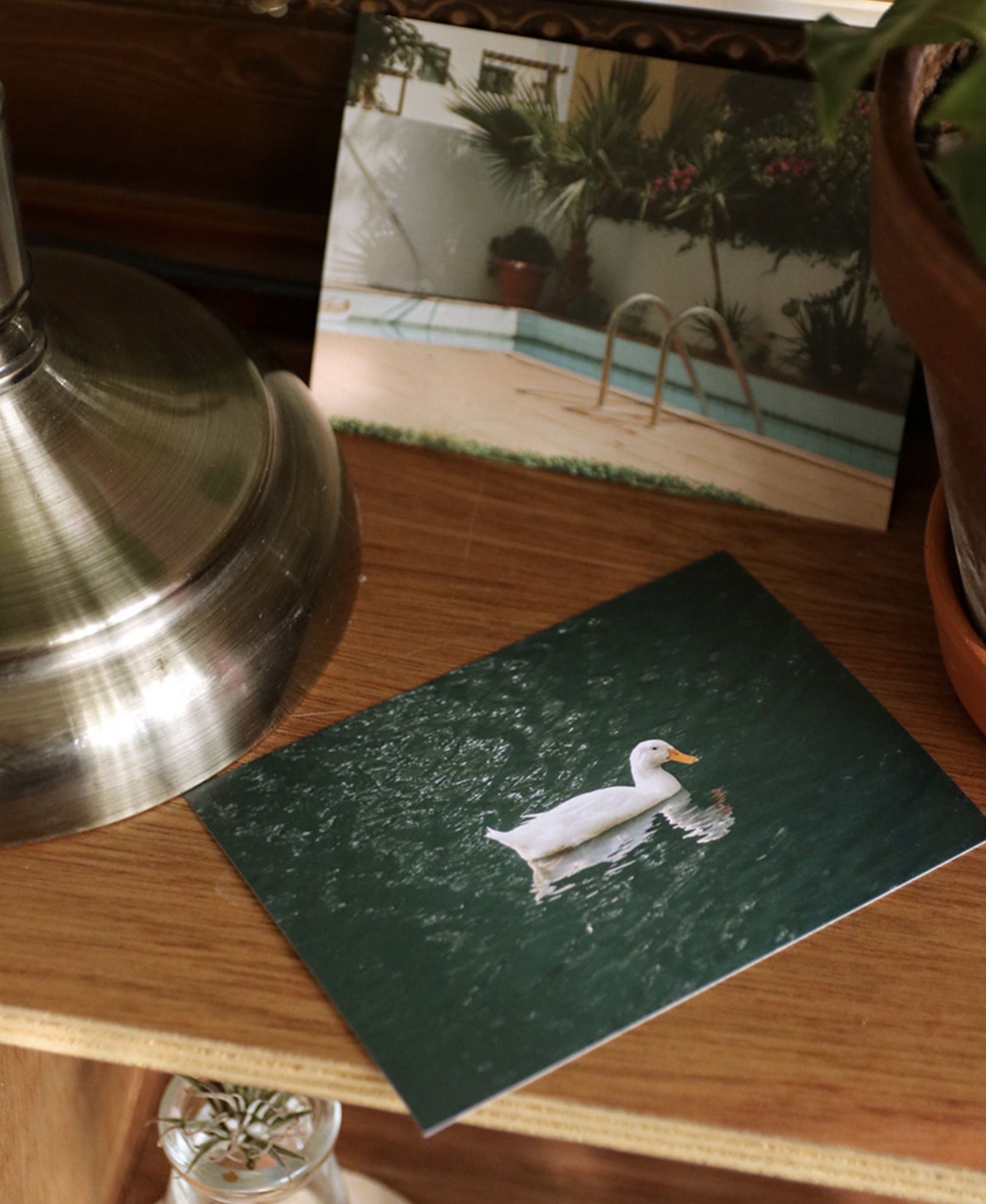 MochiThings: 8pcs The Scenery Postcard Set