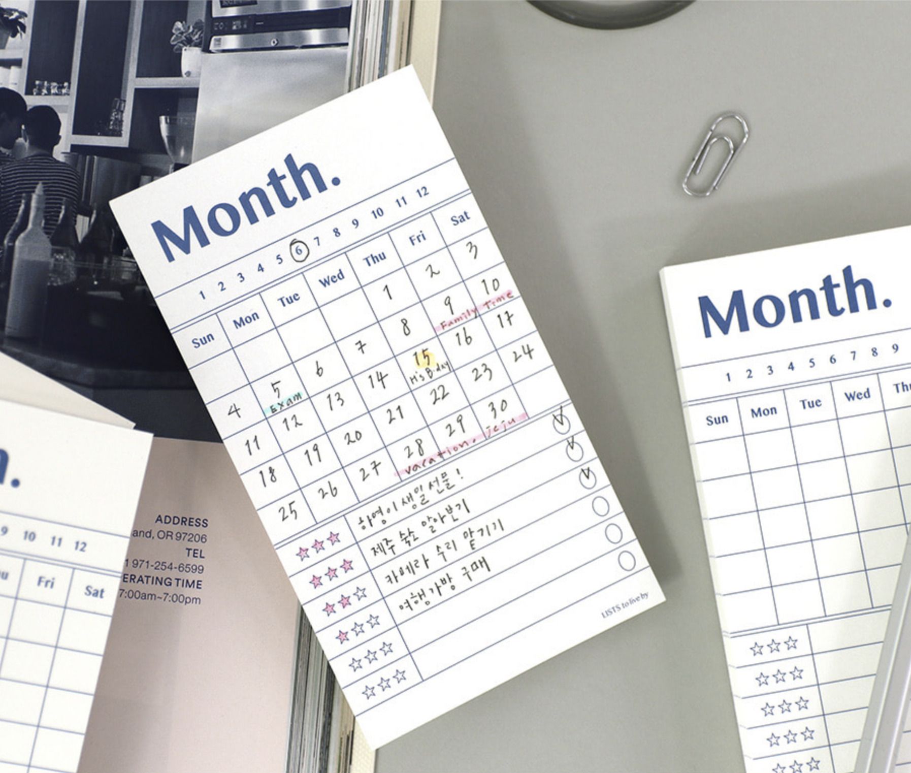 MochiThings: Live By Plan Memo Pad