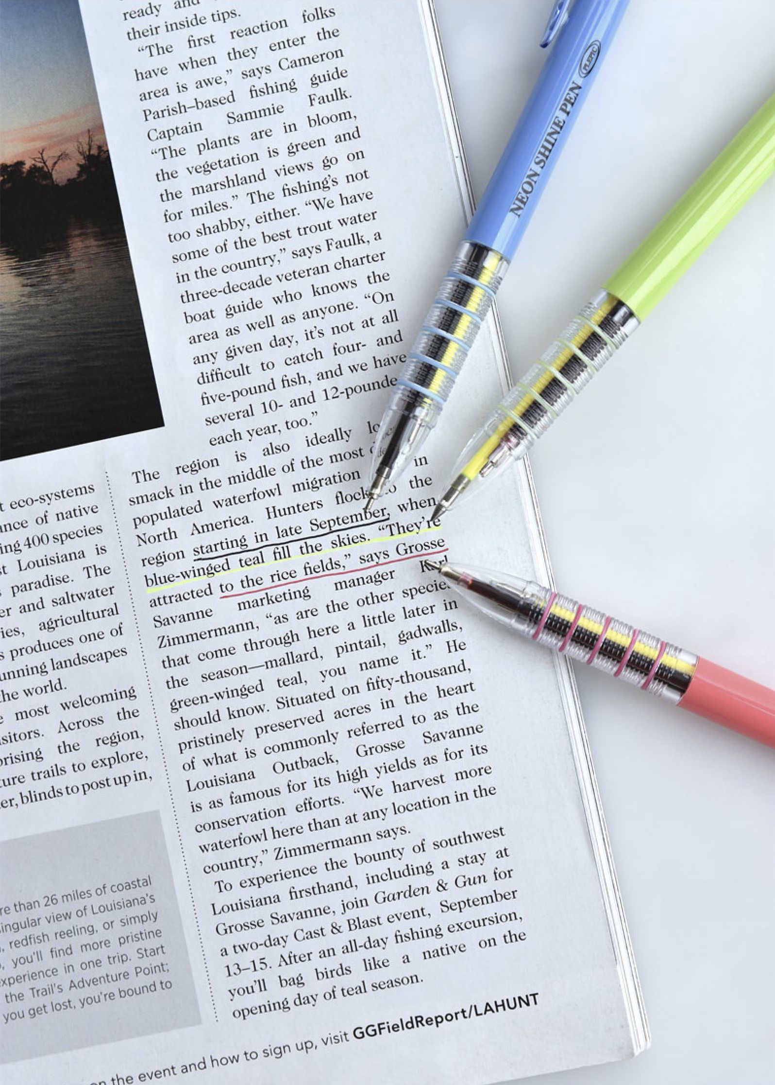 MochiThings: Neon Shine 3 Color Pen