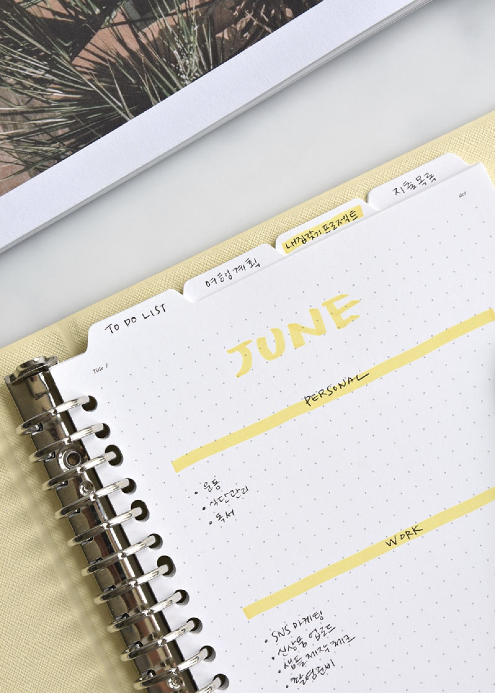 MochiThings: Folder Index 6 Ring & 20 Ring A5 Note Refill Set