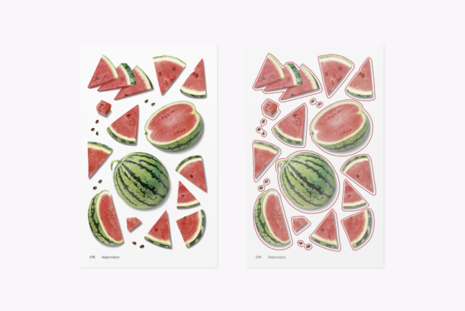 MochiThings: Watermelon Pressed Fruit Sticker