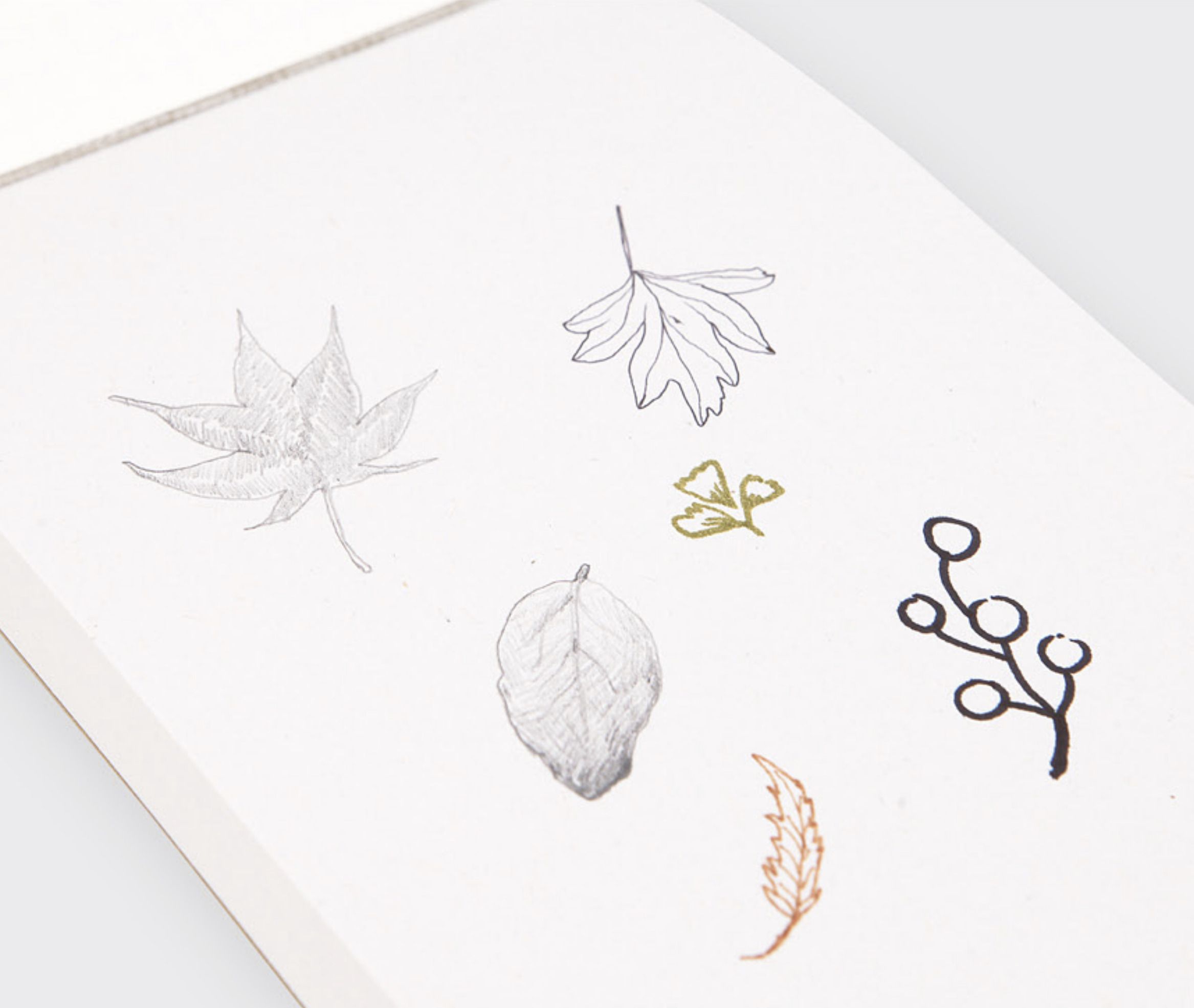 MochiThings: Elemental Drawing Book v2