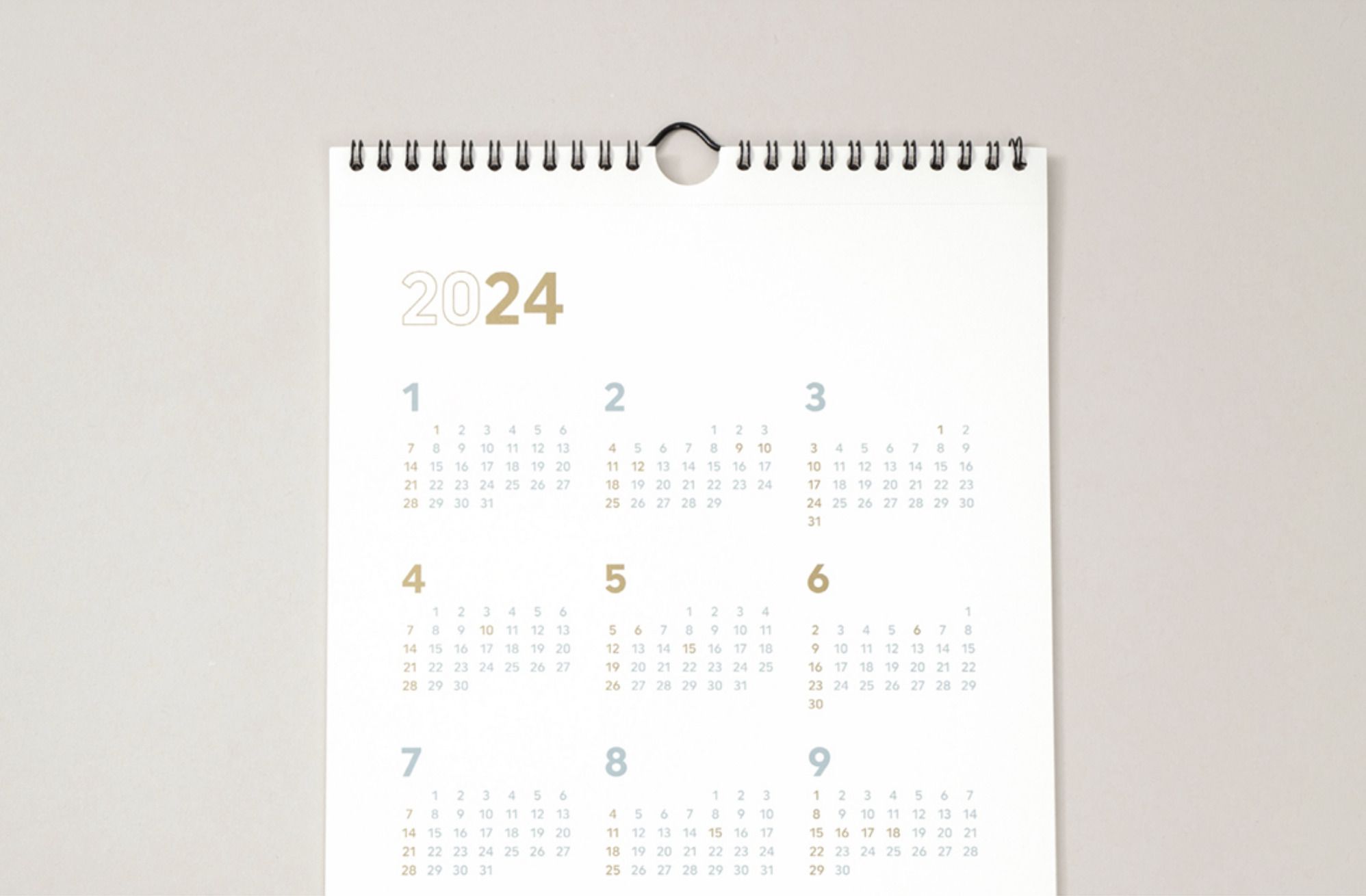 MochiThings: 2024 Large Basic Wall Calendar