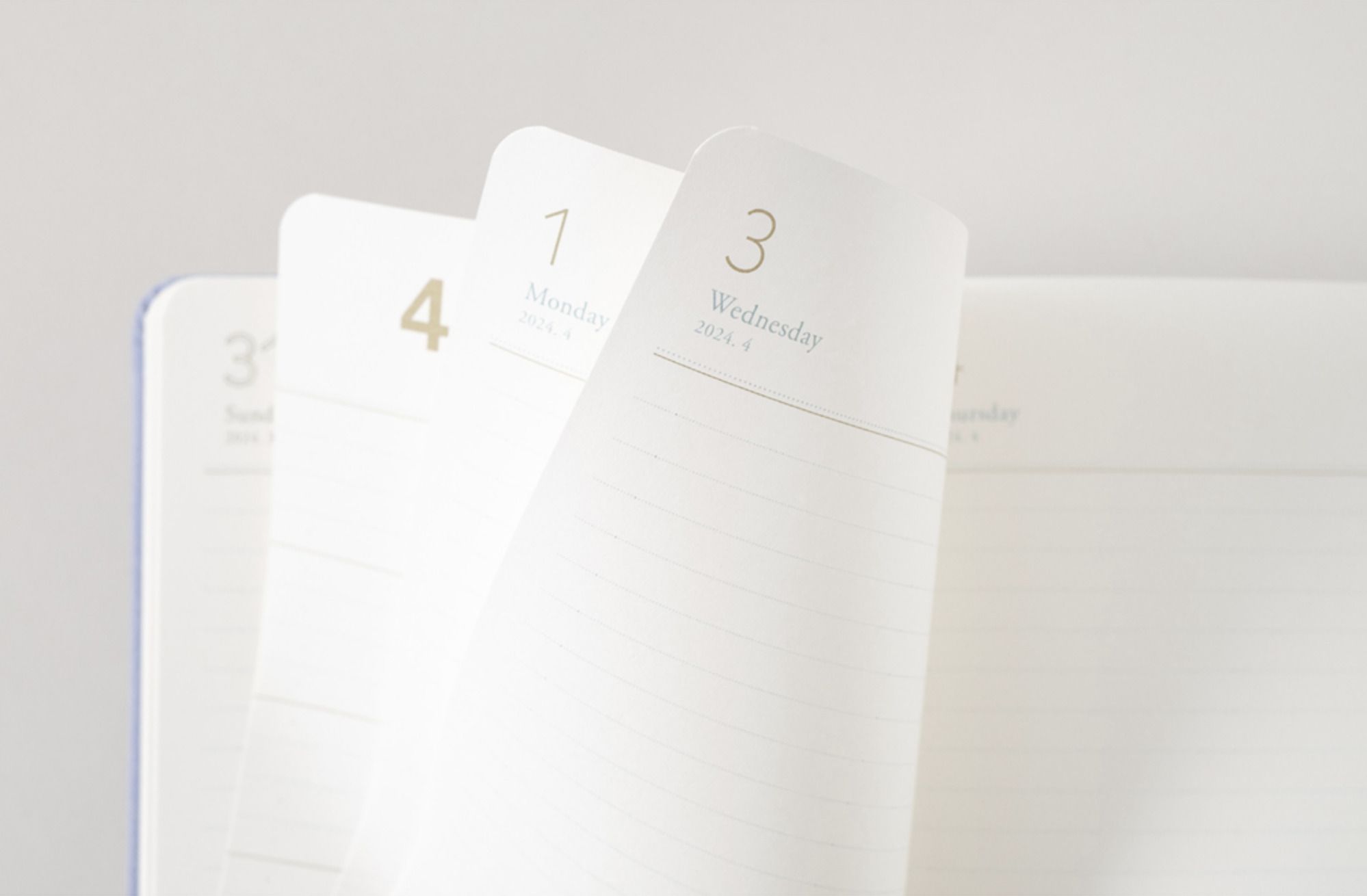 MochiThings: 2024 Making Memory Daily Planner