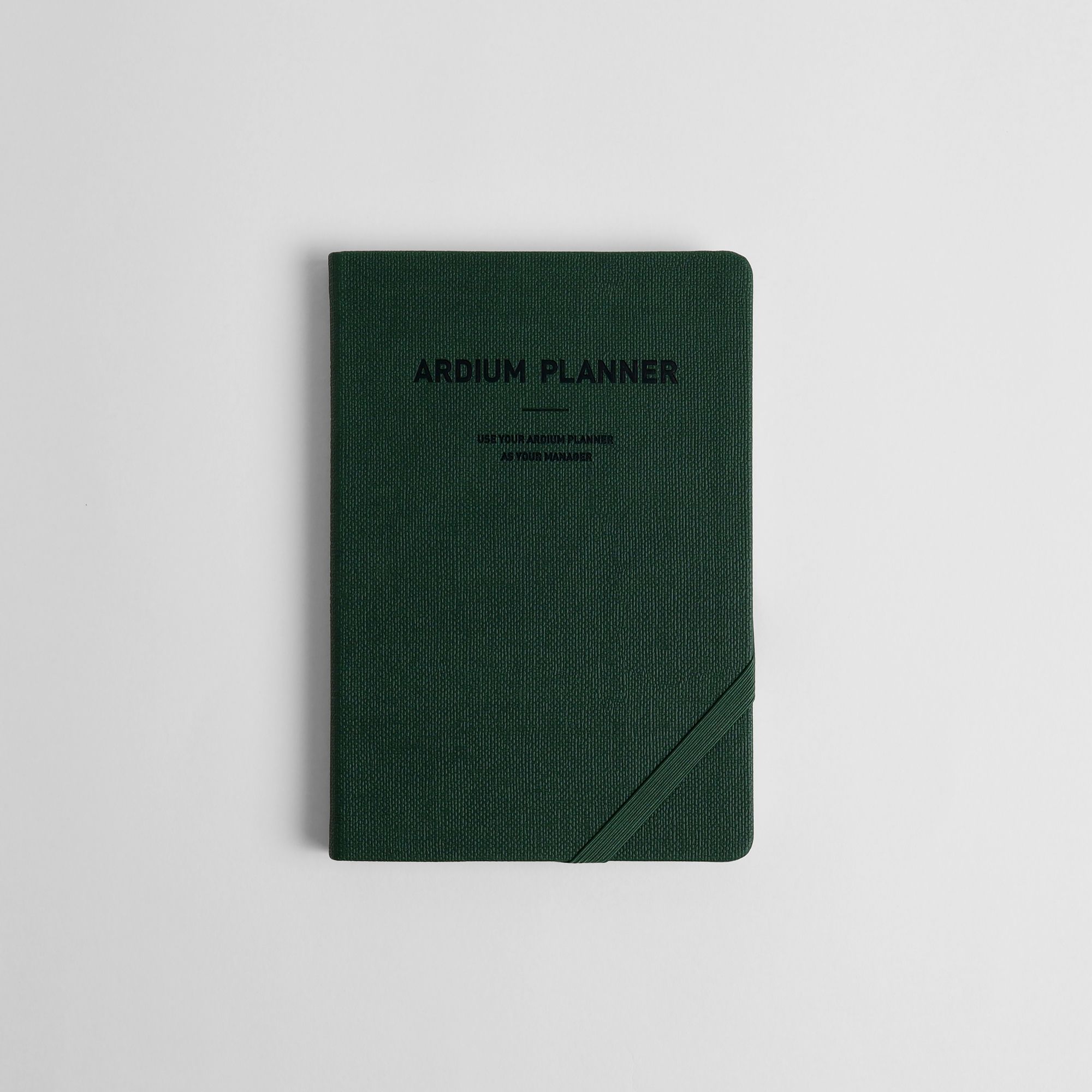 MochiThings: 2024 Medium Ardium Planner