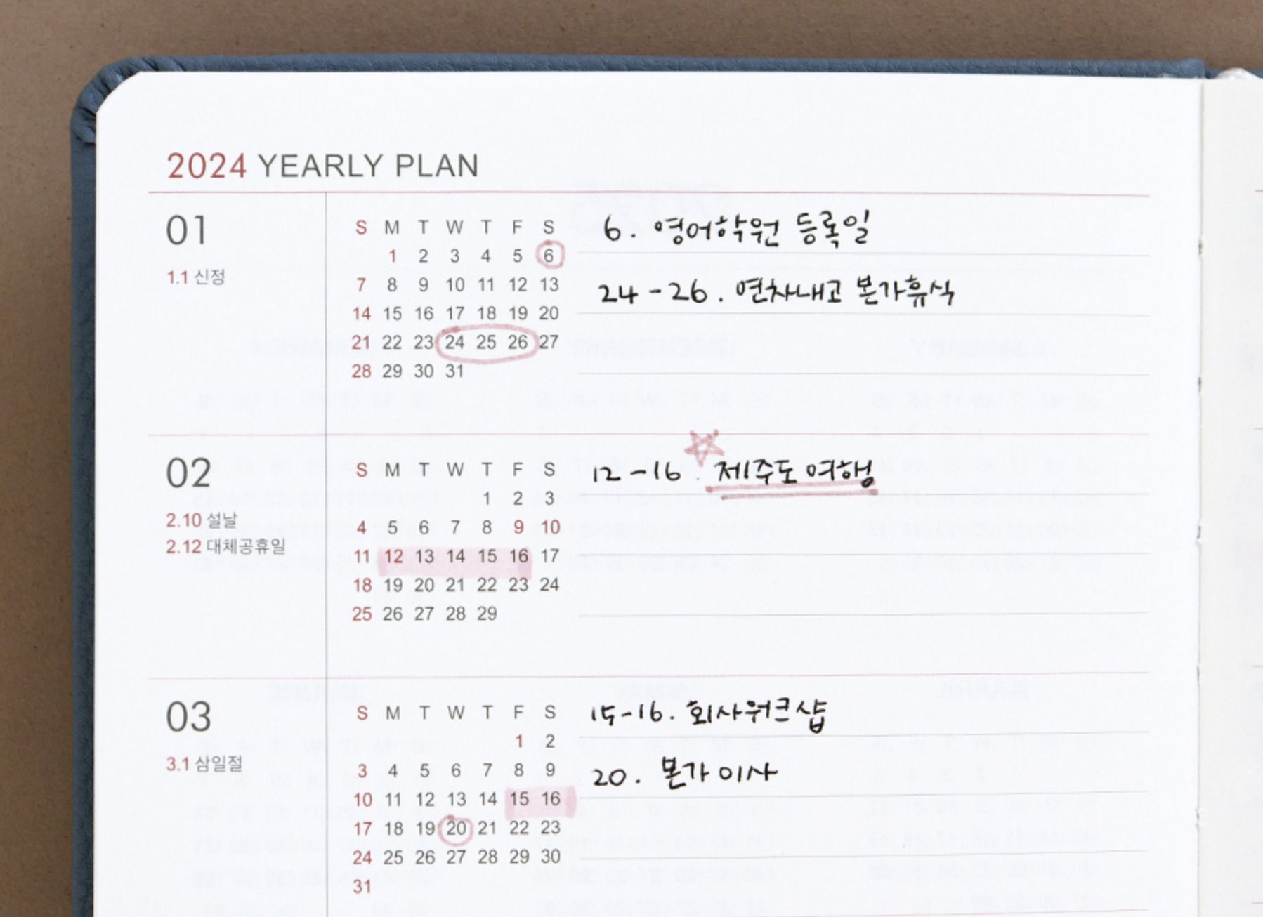 MochiThings: 2024 Prism 365 Days B6 Leather Daily Planner
