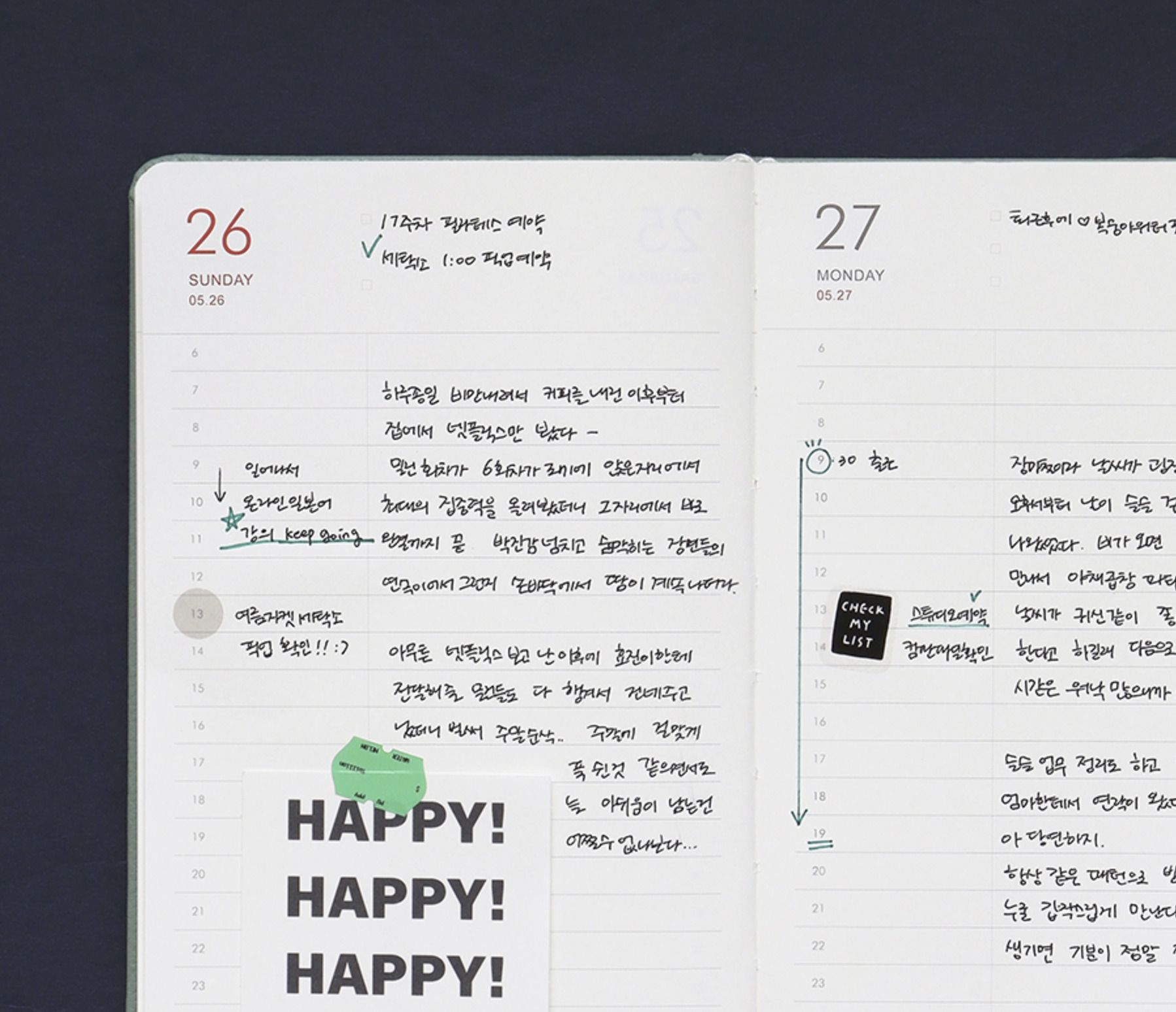 MochiThings: 2024 Prism 365 Days B6 Leather Daily Planner
