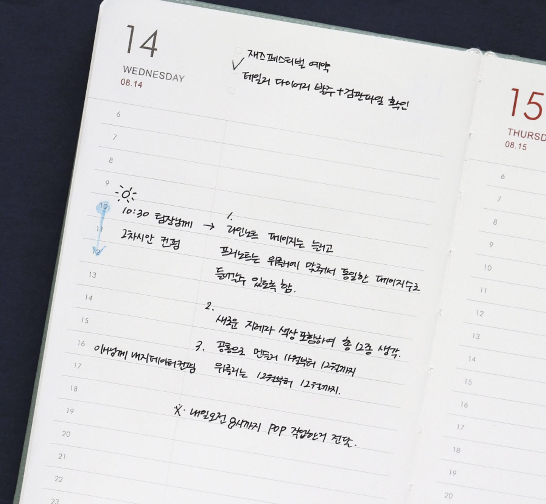 MochiThings: 2024 Prism 365 Days B6 Leather Daily Planner