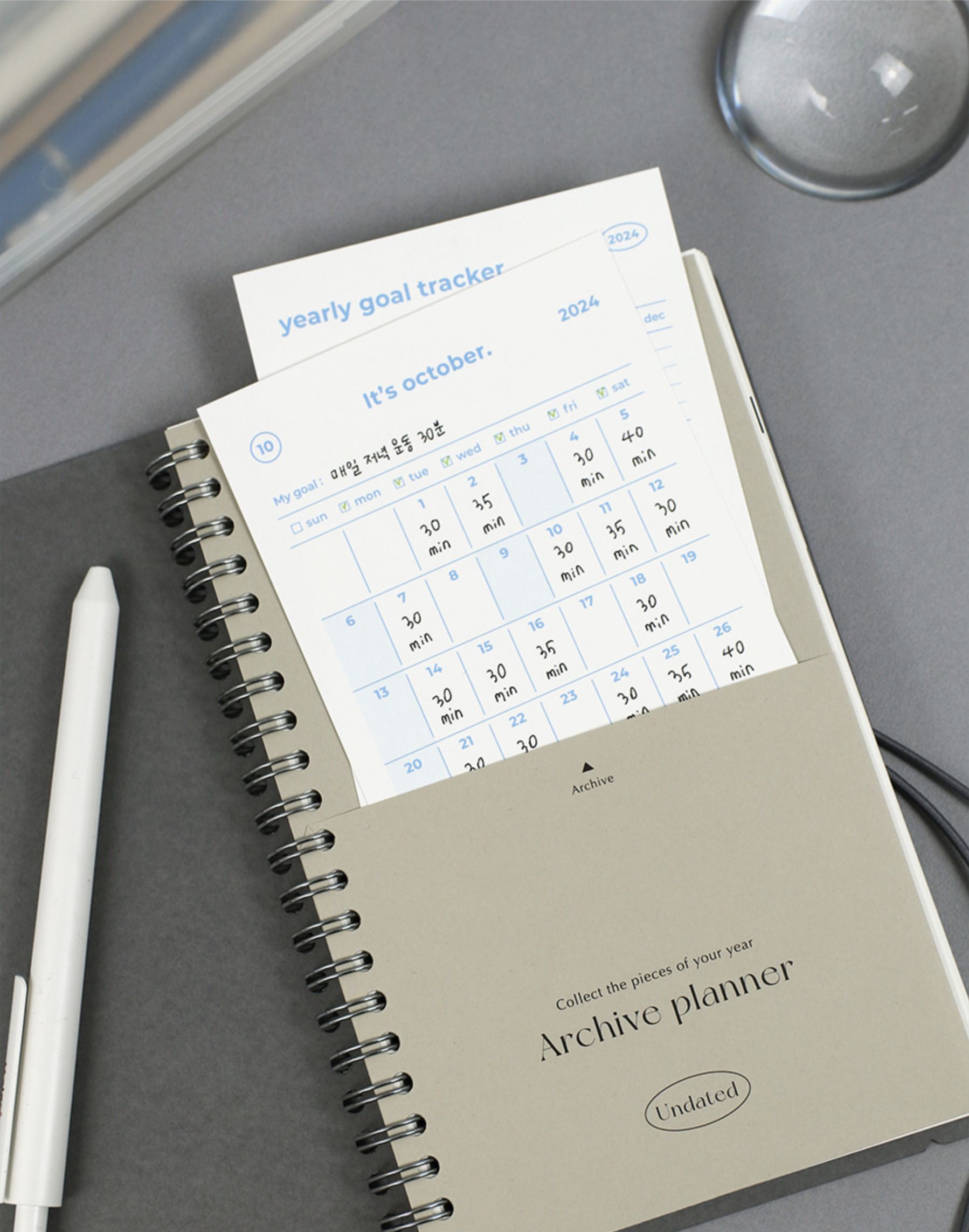 MochiThings: 2024 Goal Tracking Calendar Sheets