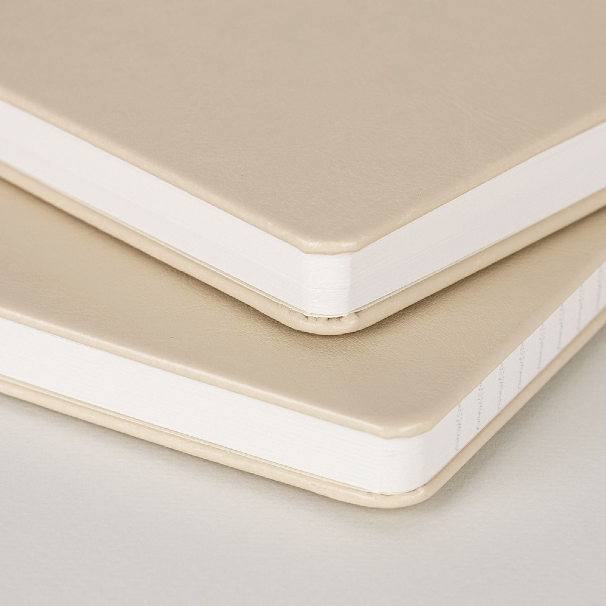 MochiThings: Large Moment Hardcover Lined Notebook