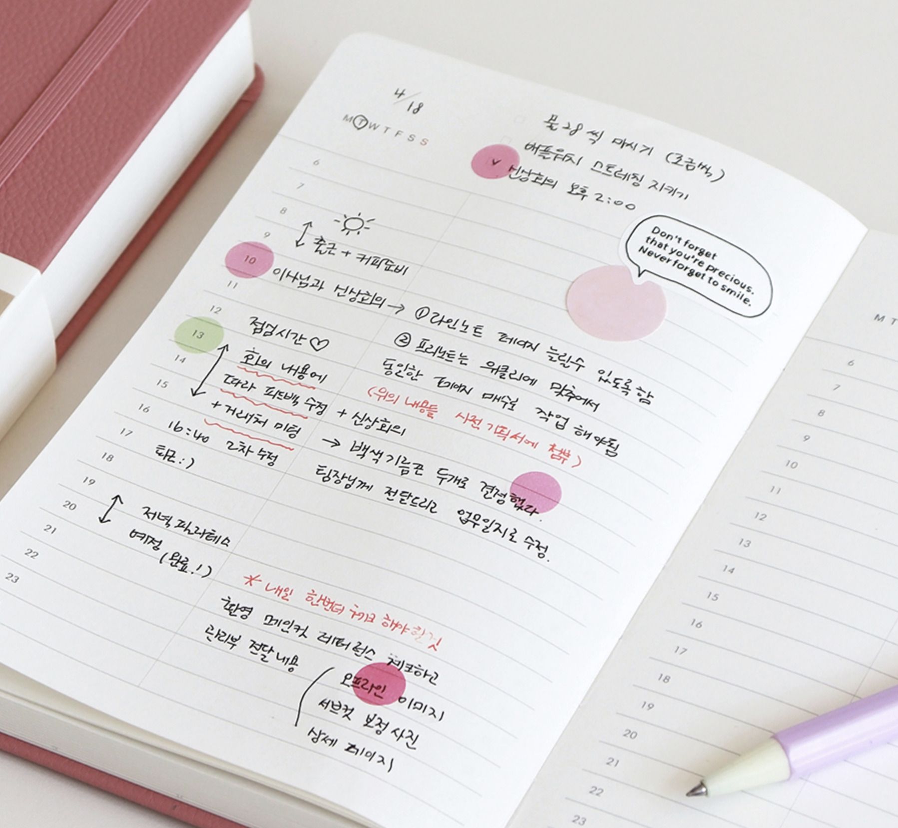 MochiThings: Prism 365 Days B6 Leather Daily Planner
