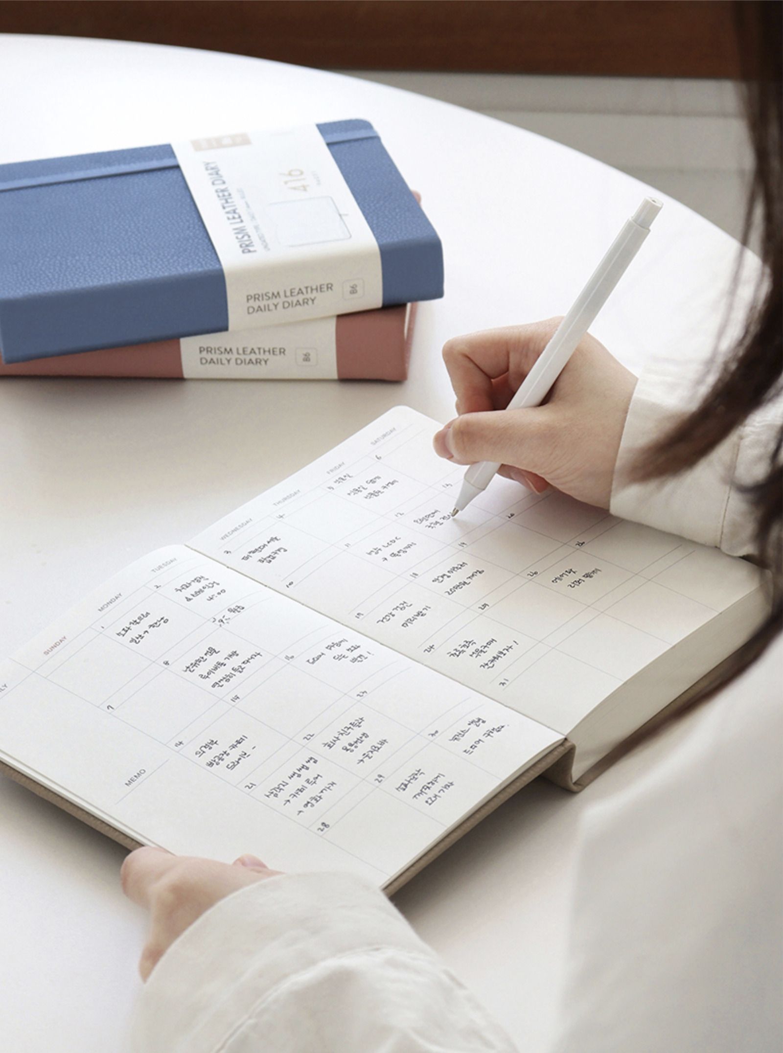 MochiThings: Prism 365 Days B6 Leather Daily Planner