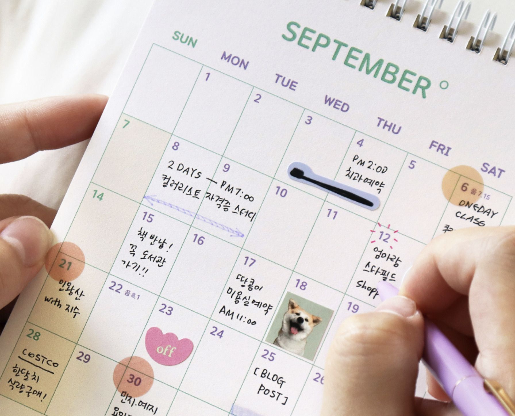 MochiThings: 2025 The Temp of the Day Desk Calendar