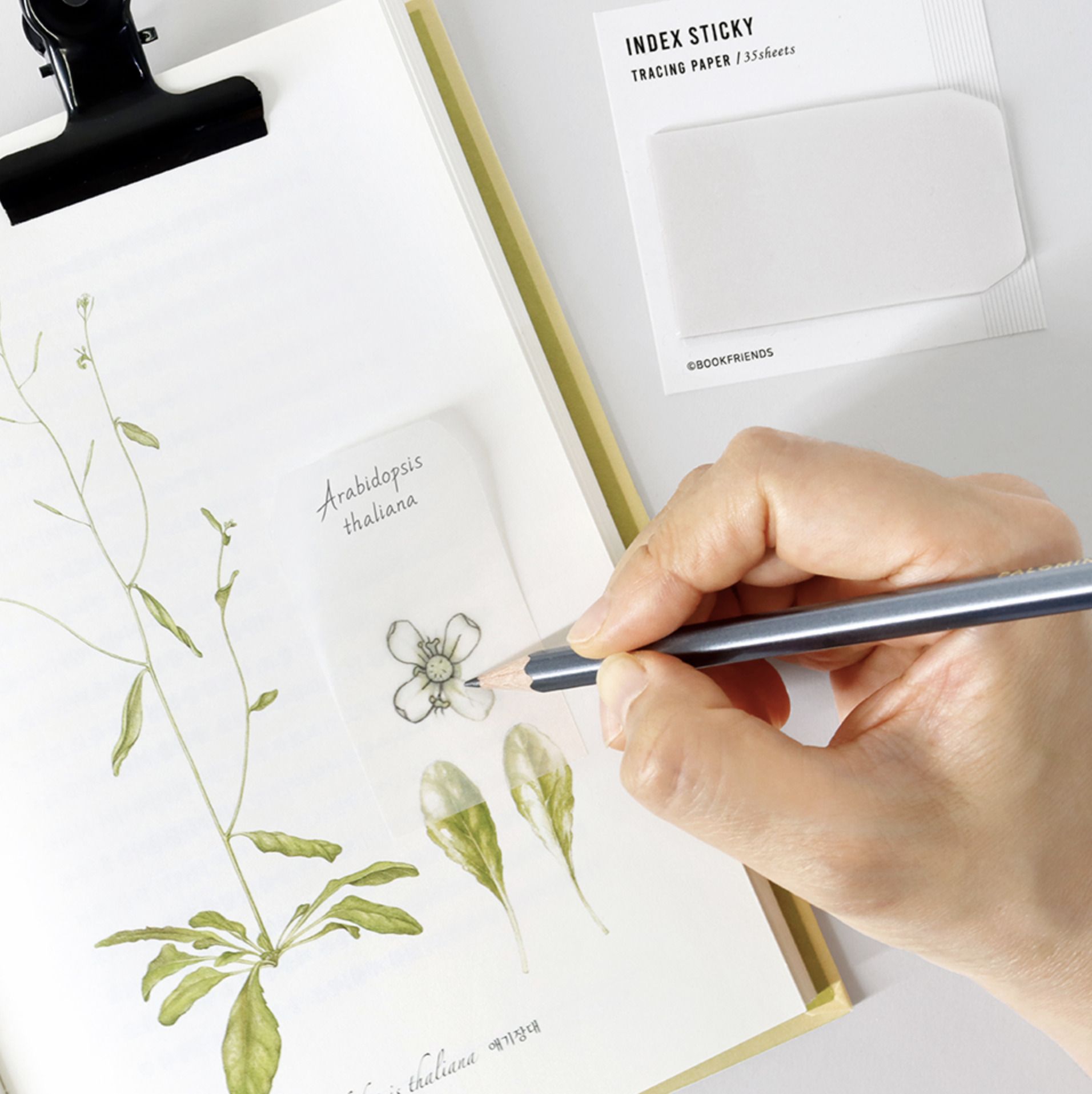 MochiThings: Small Index Tracing Sticky Note