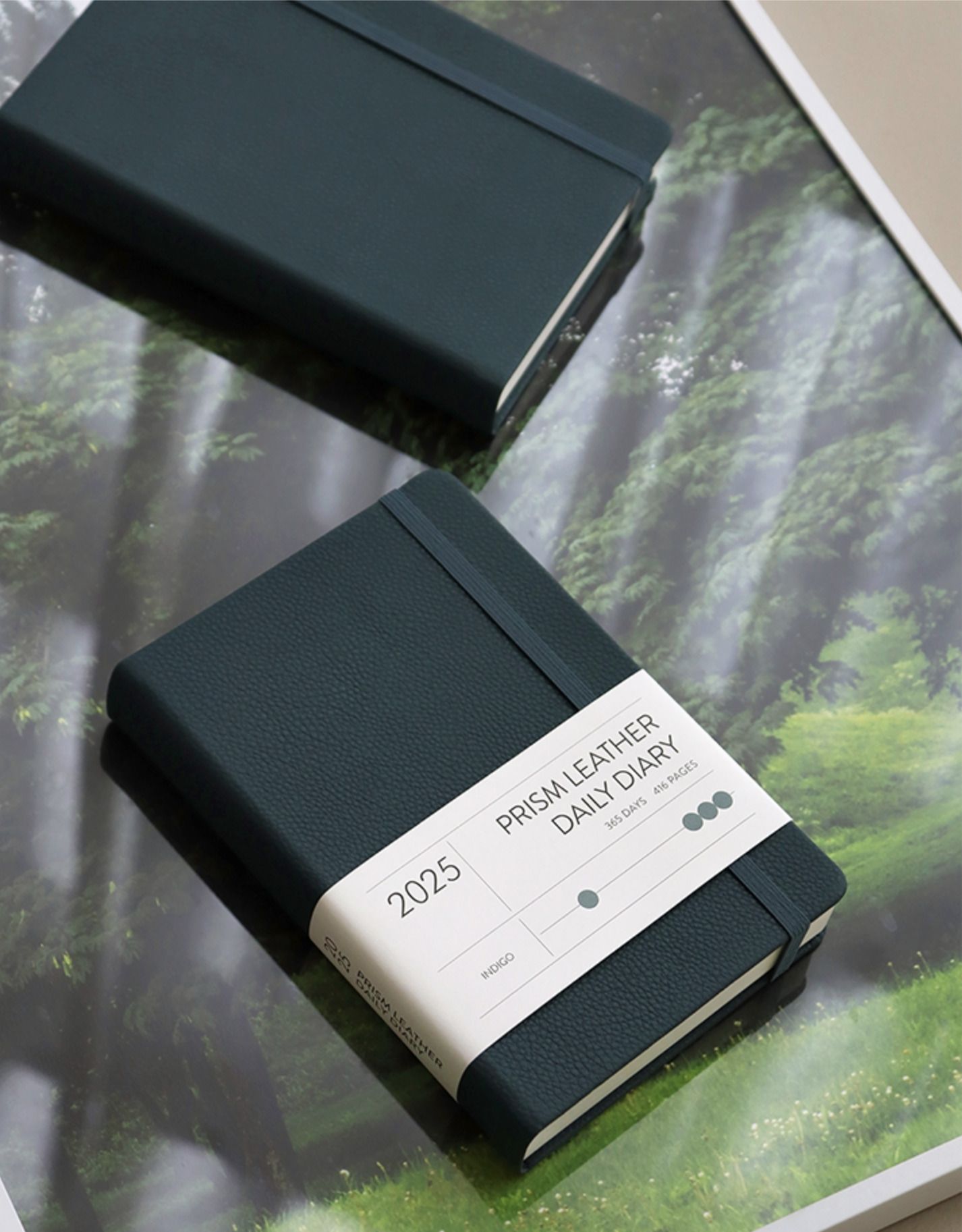 MochiThings: 2025 Prism 365 Days B6 Leather Daily Planner