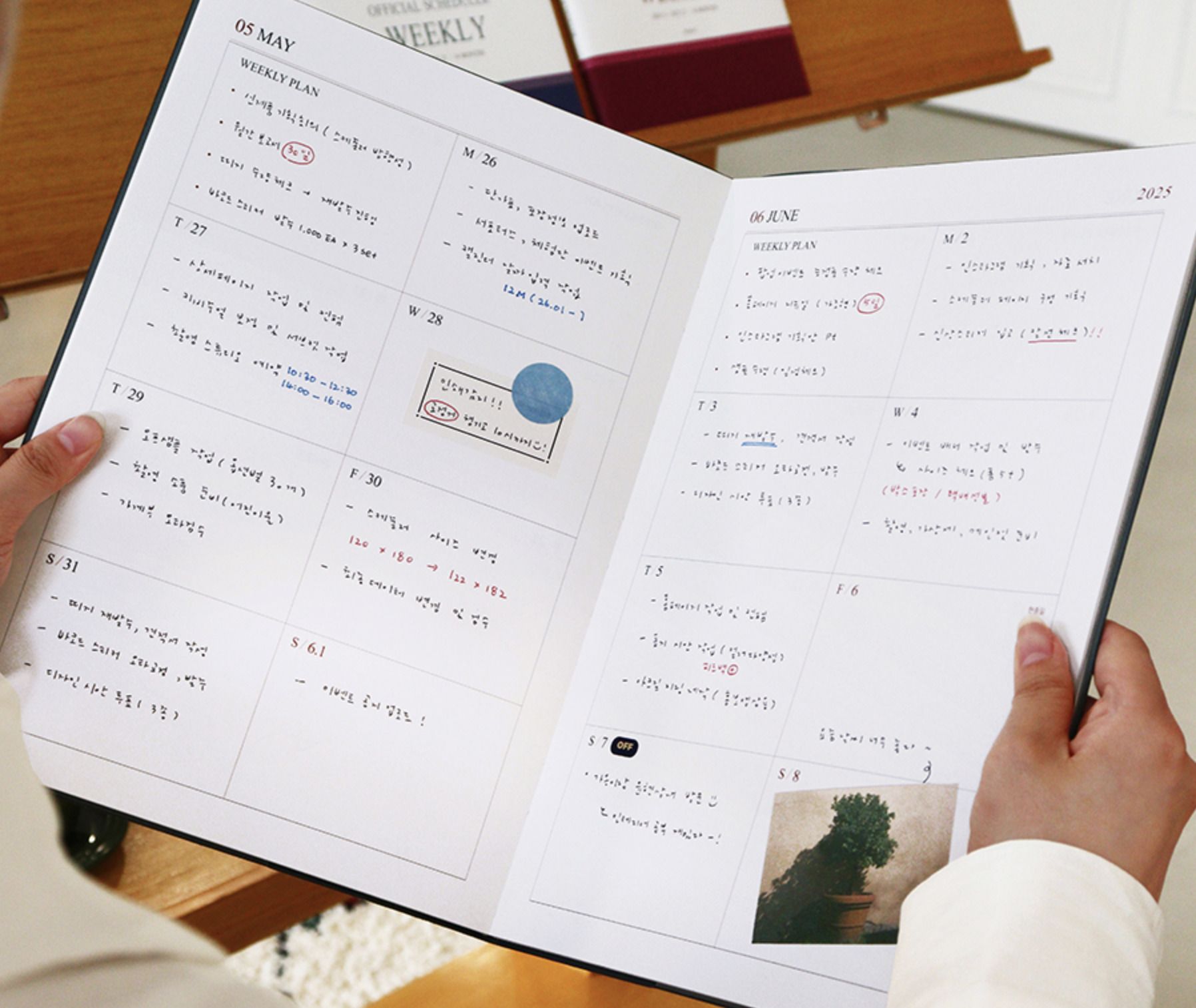 MochiThings: 2025 Big Official Weekly Scheduler