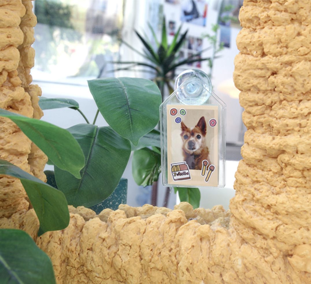 MochiThings: 3pcs Window Attachable Instax Mini Photo 1 Pocket