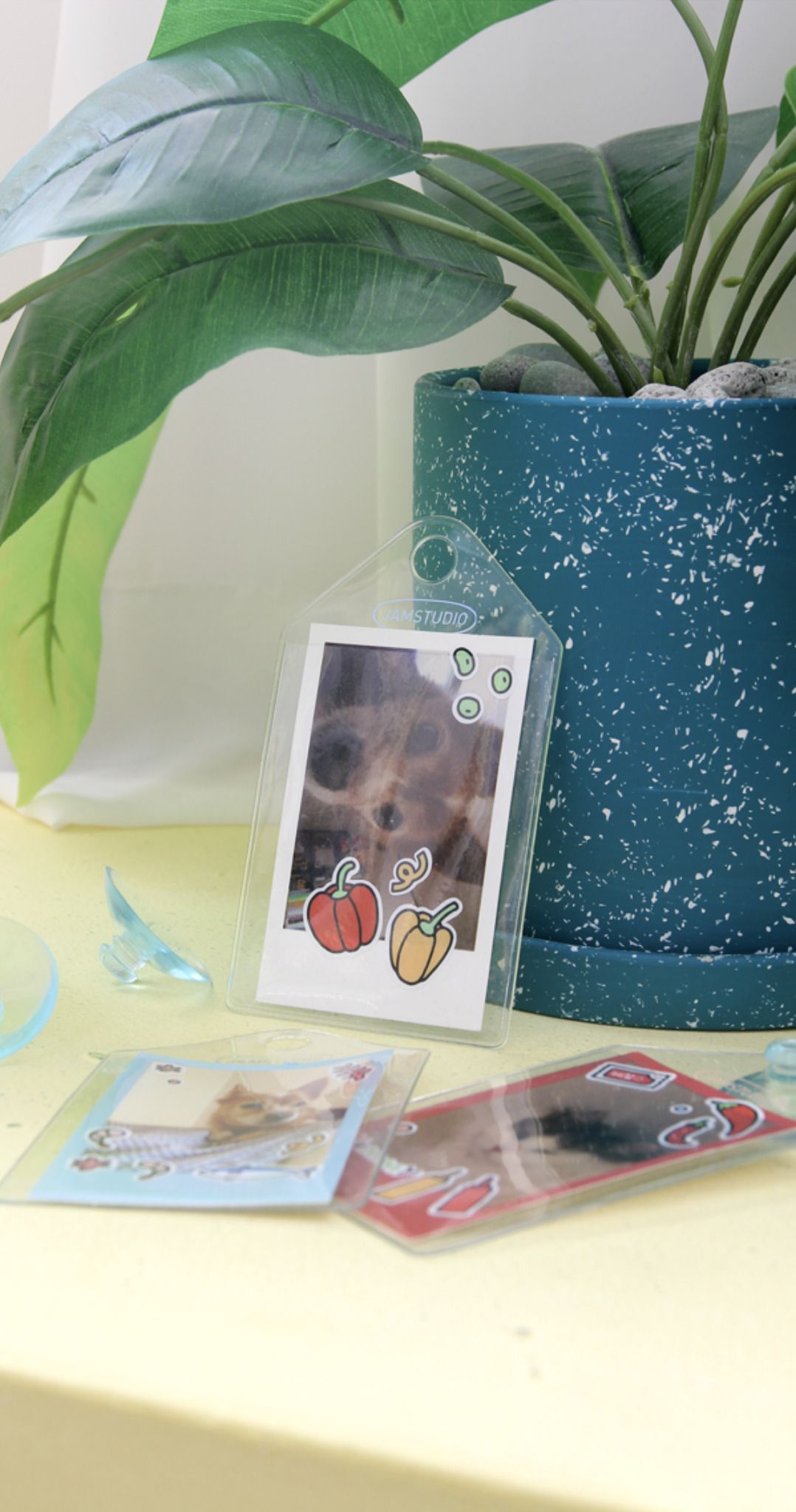 MochiThings: 3pcs Window Attachable Instax Mini Photo 1 Pocket