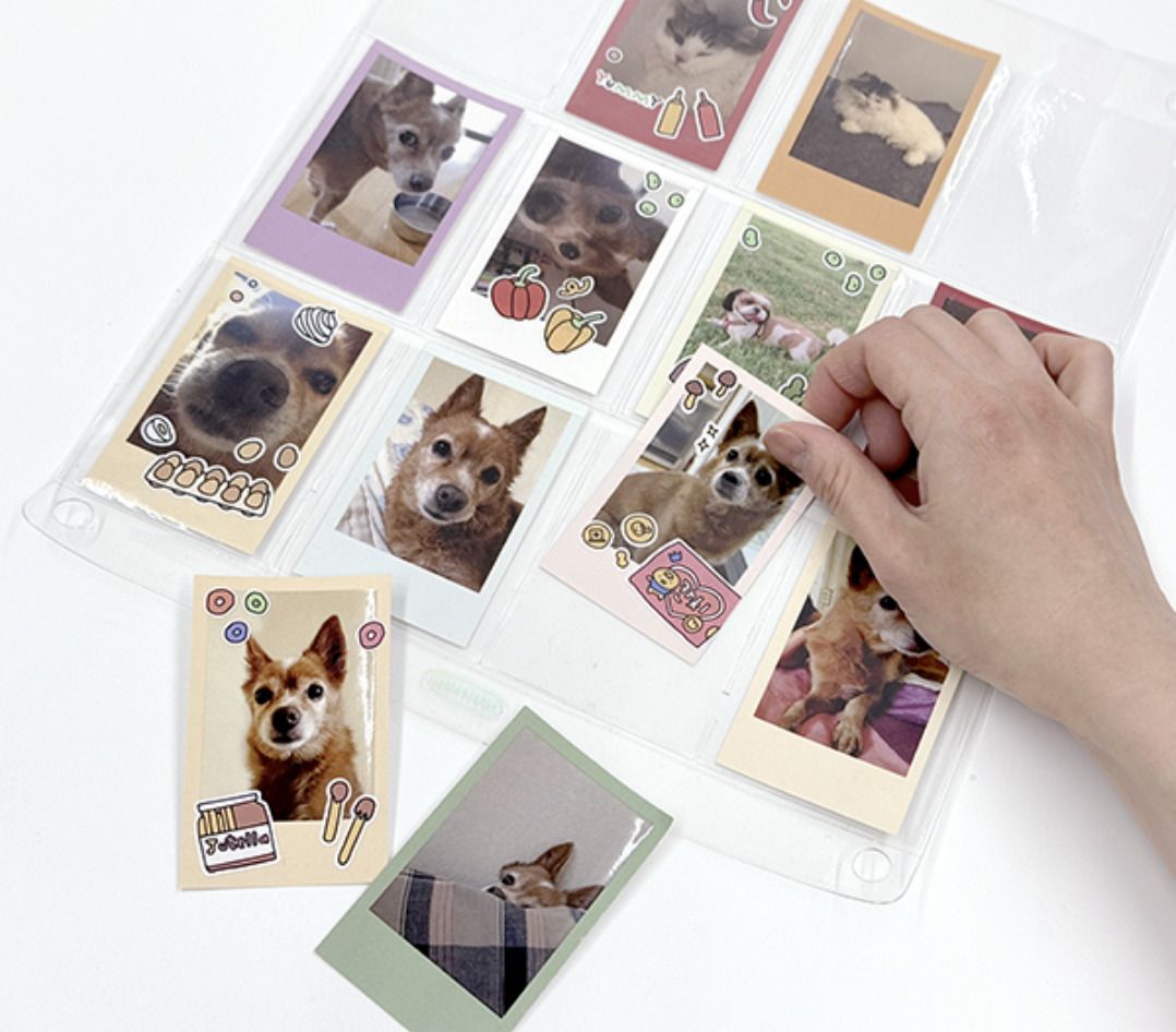 MochiThings: Window Attachable Instax Mini Photo 12 Pocket