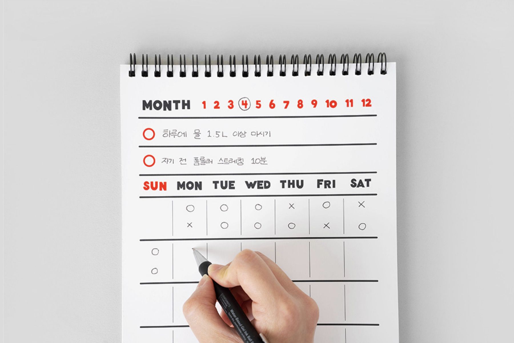 MochiThings: 2025 Moment Desk Calendar