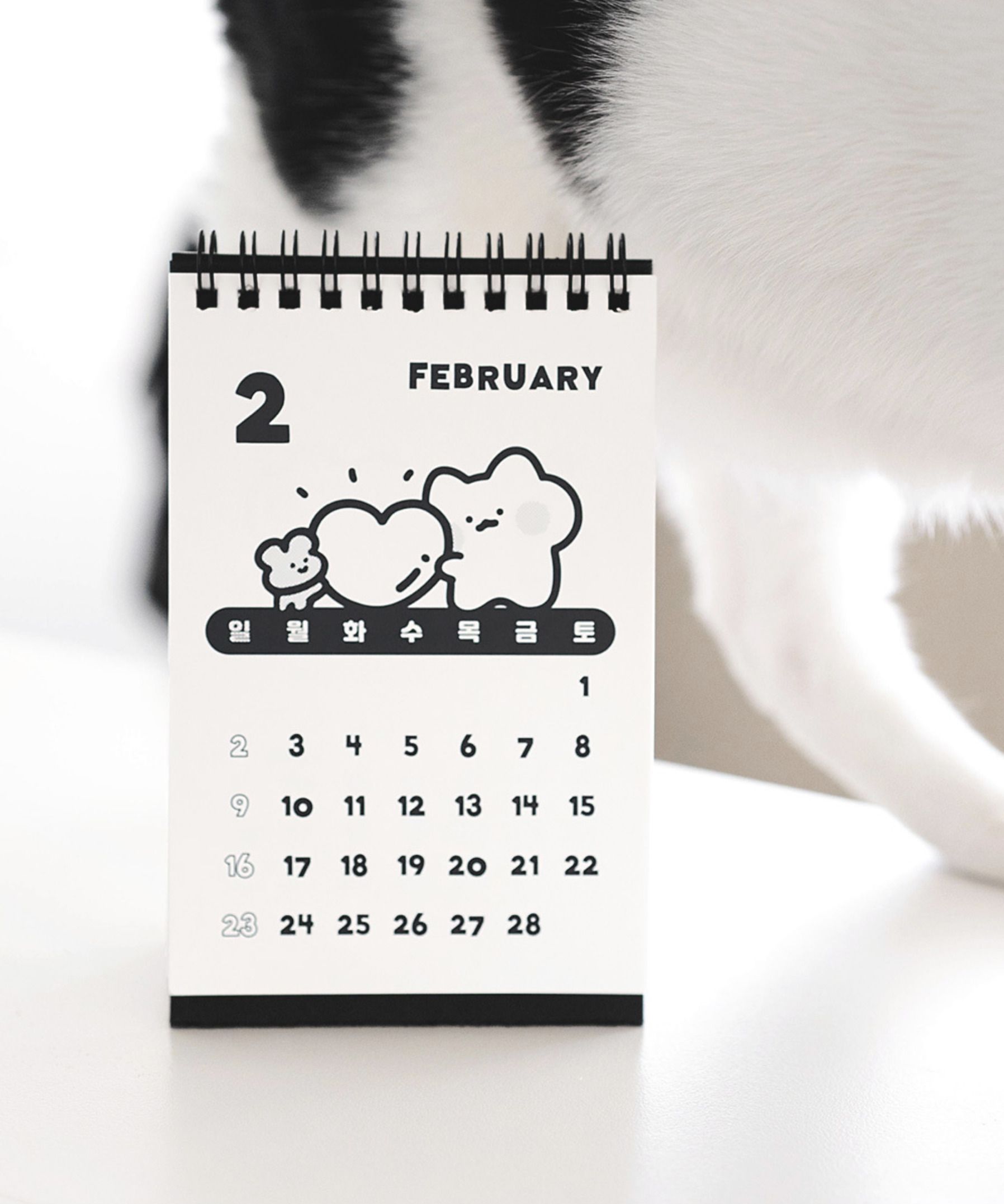 MochiThings: 2025 Mini Cat Desk Calendar