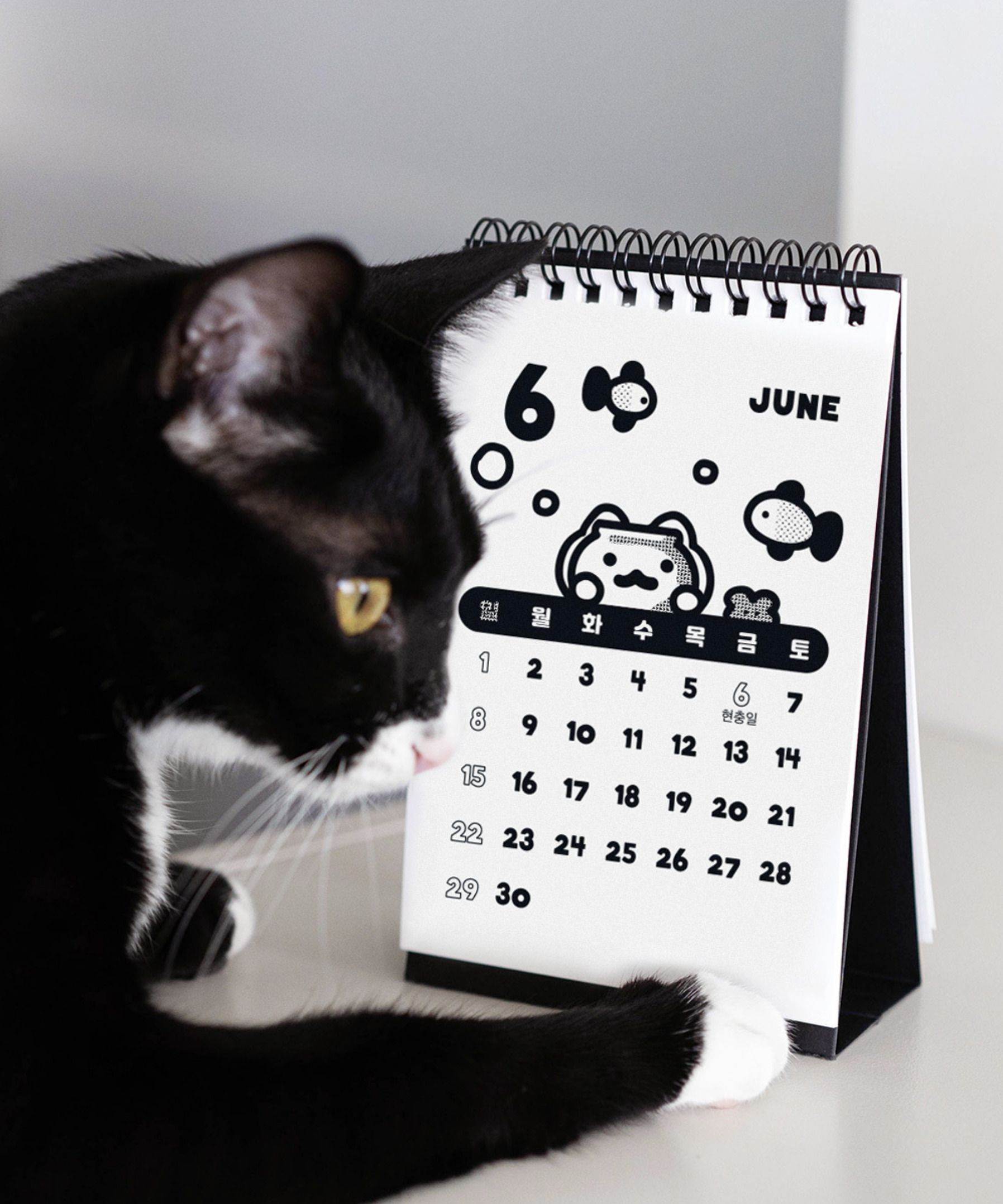 MochiThings: 2025 Mini Cat Desk Calendar