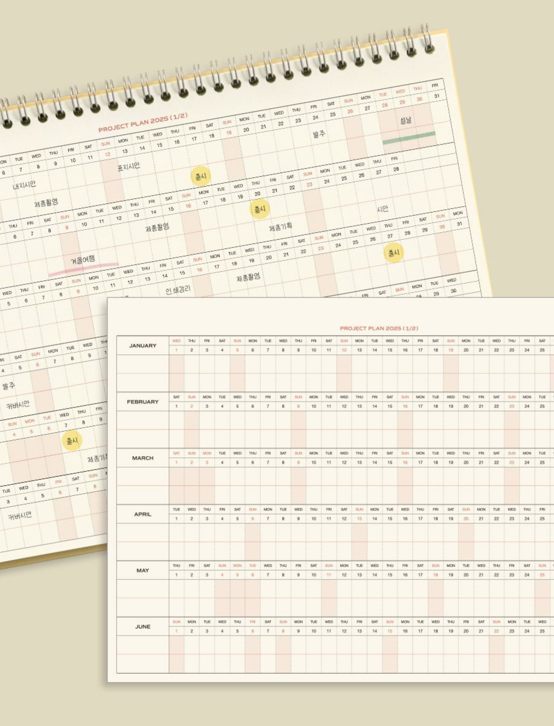 MochiThings: 2025 Flow A4 Desk Monthly Planner