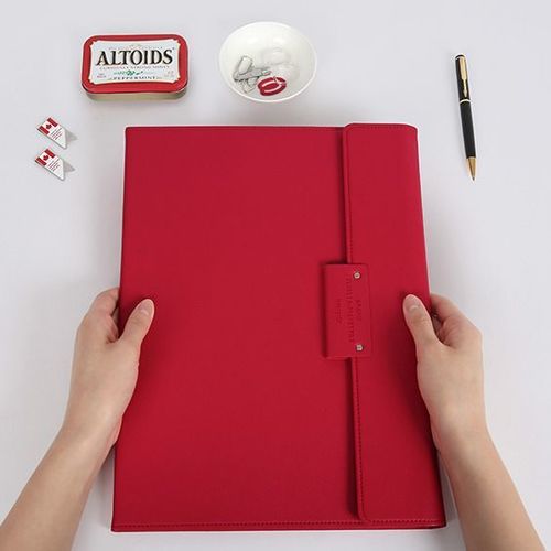 MochiThings: Large Classy File Folder