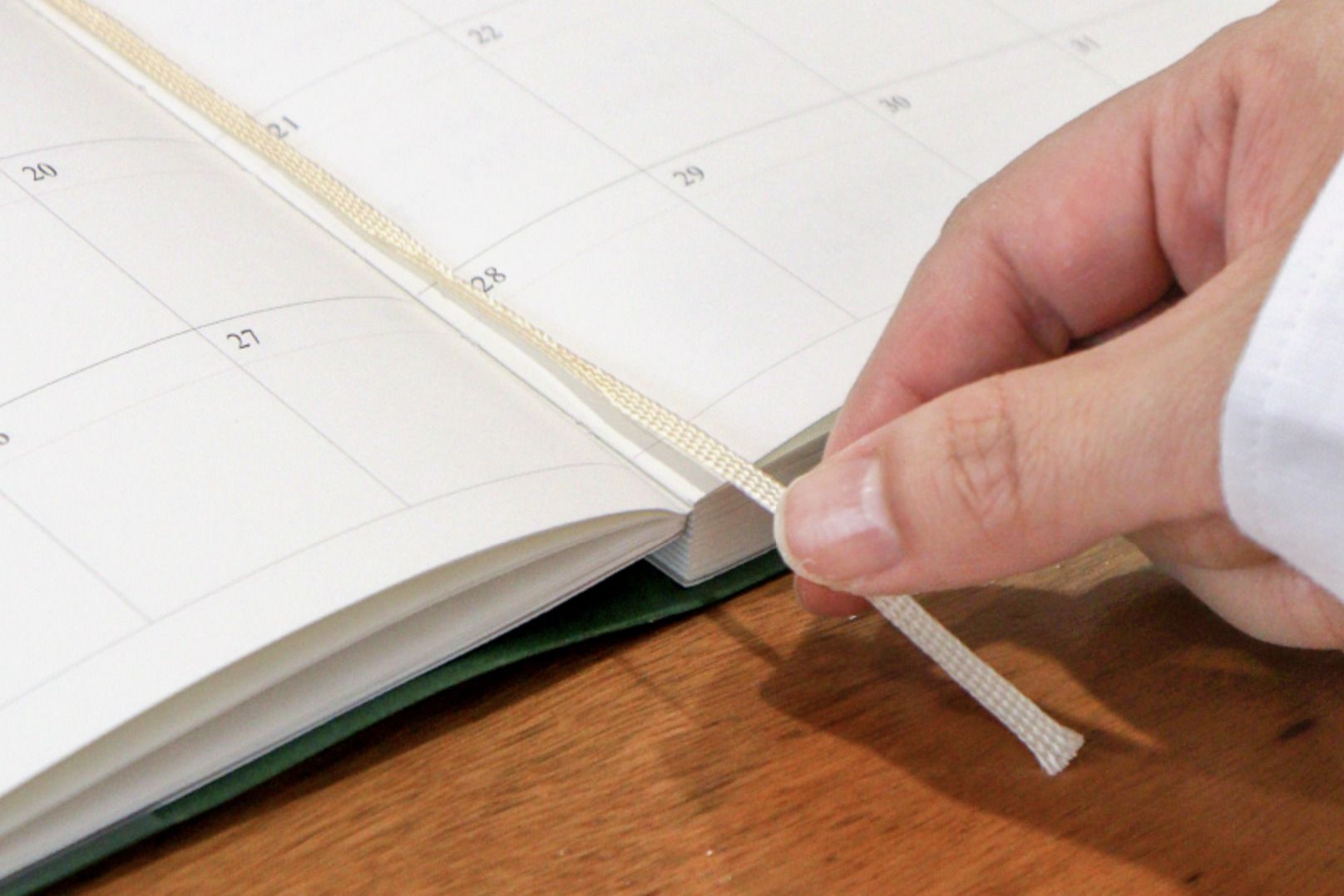 MochiThings: 2026 Official Weekly Scheduler