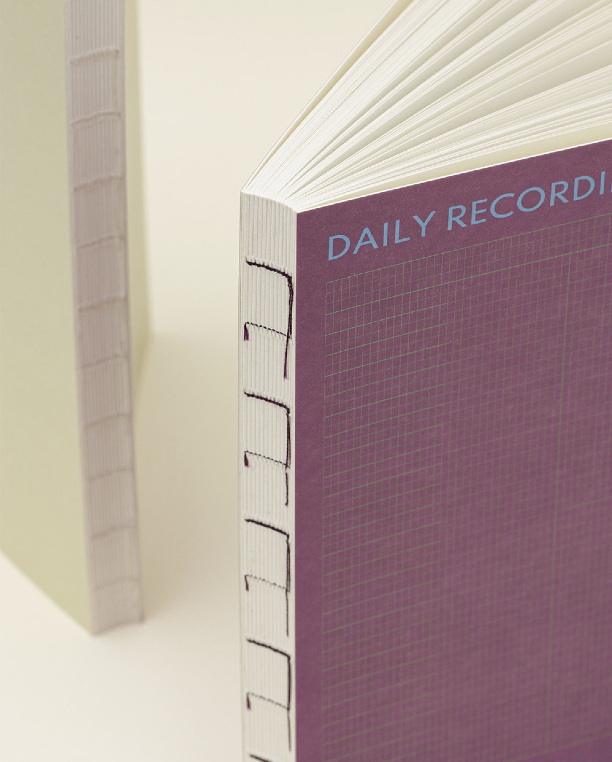 MochiThings: 6 Month Daily Recording System Planner
