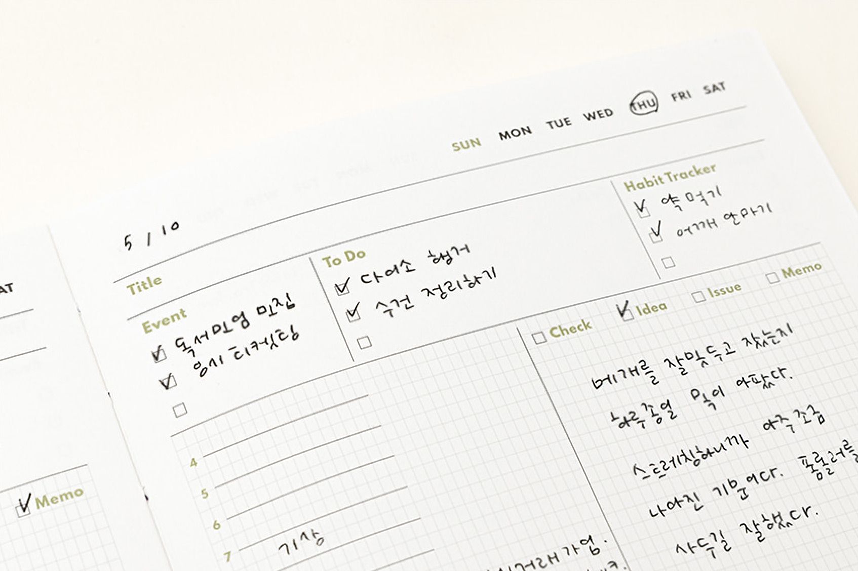 MochiThings: 6 Month Daily Recording System Planner