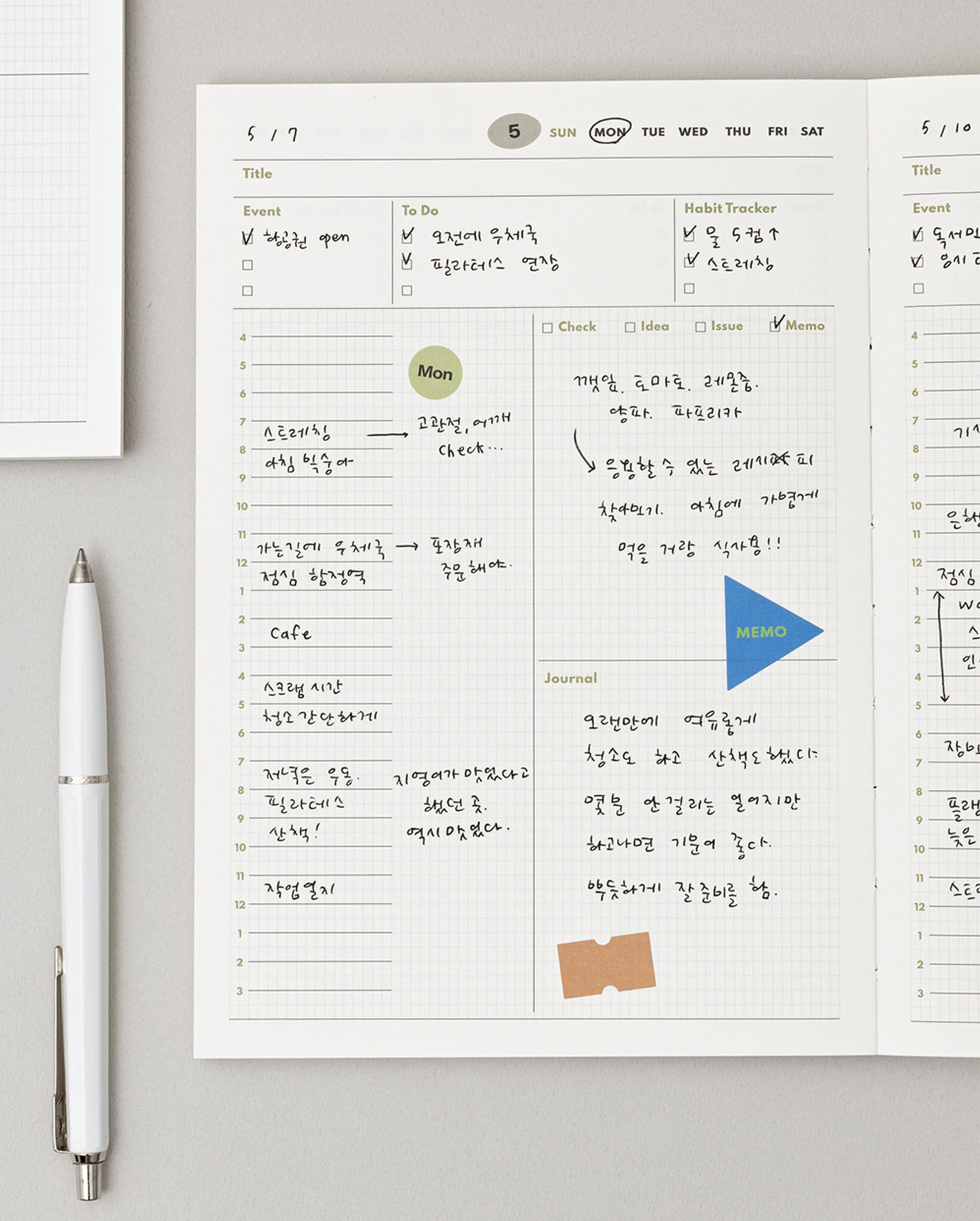 MochiThings: 6 Month Daily Recording System Planner
