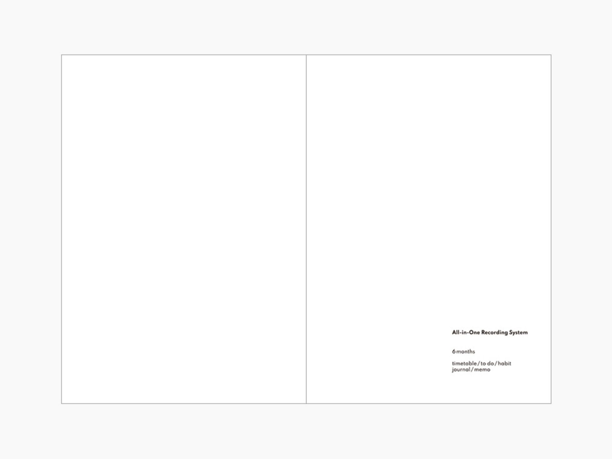 MochiThings: 6 Month Daily Recording System Planner