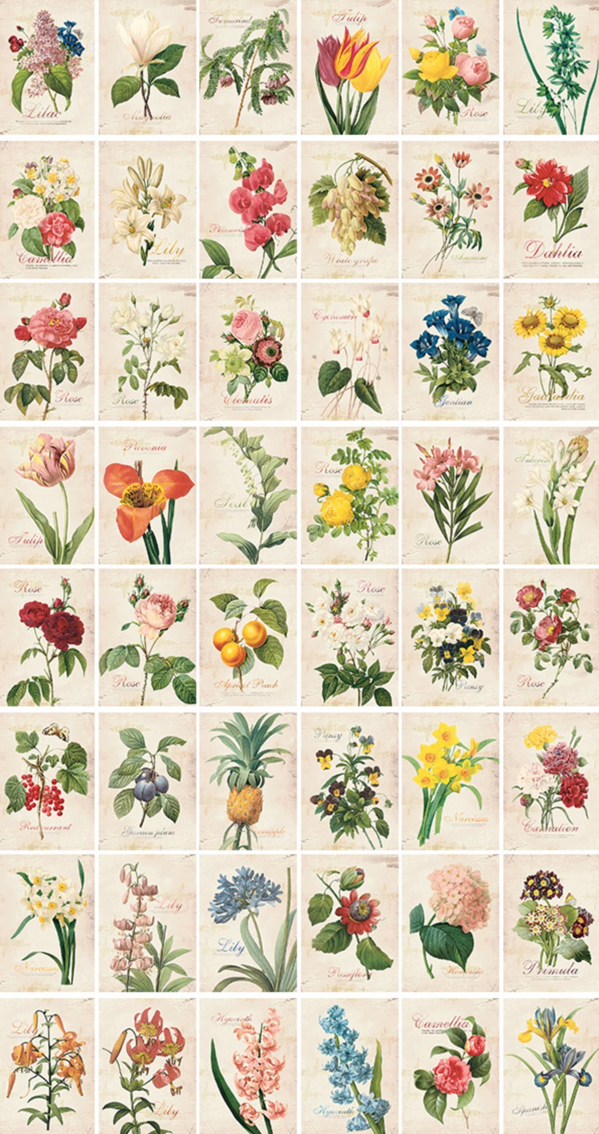 MochiThings: 48pcs Flower Label Sticker Set