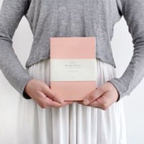 MochiThings: The Basic Diary Scheduler v2