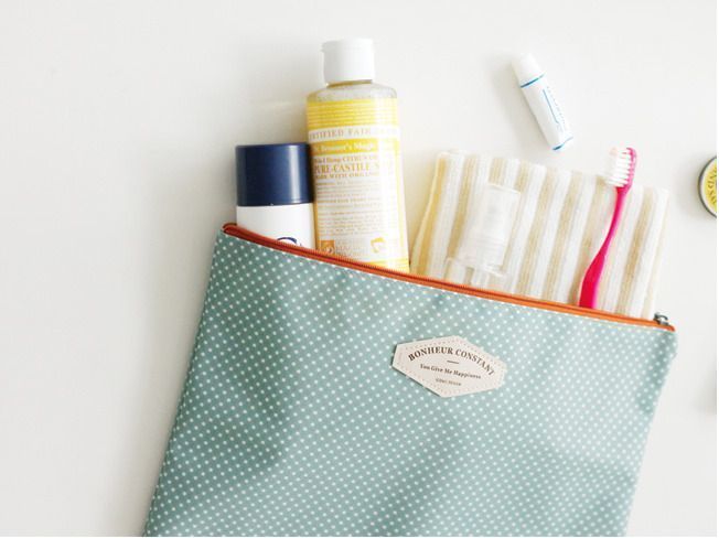 MochiThings: Large Basic Pouch